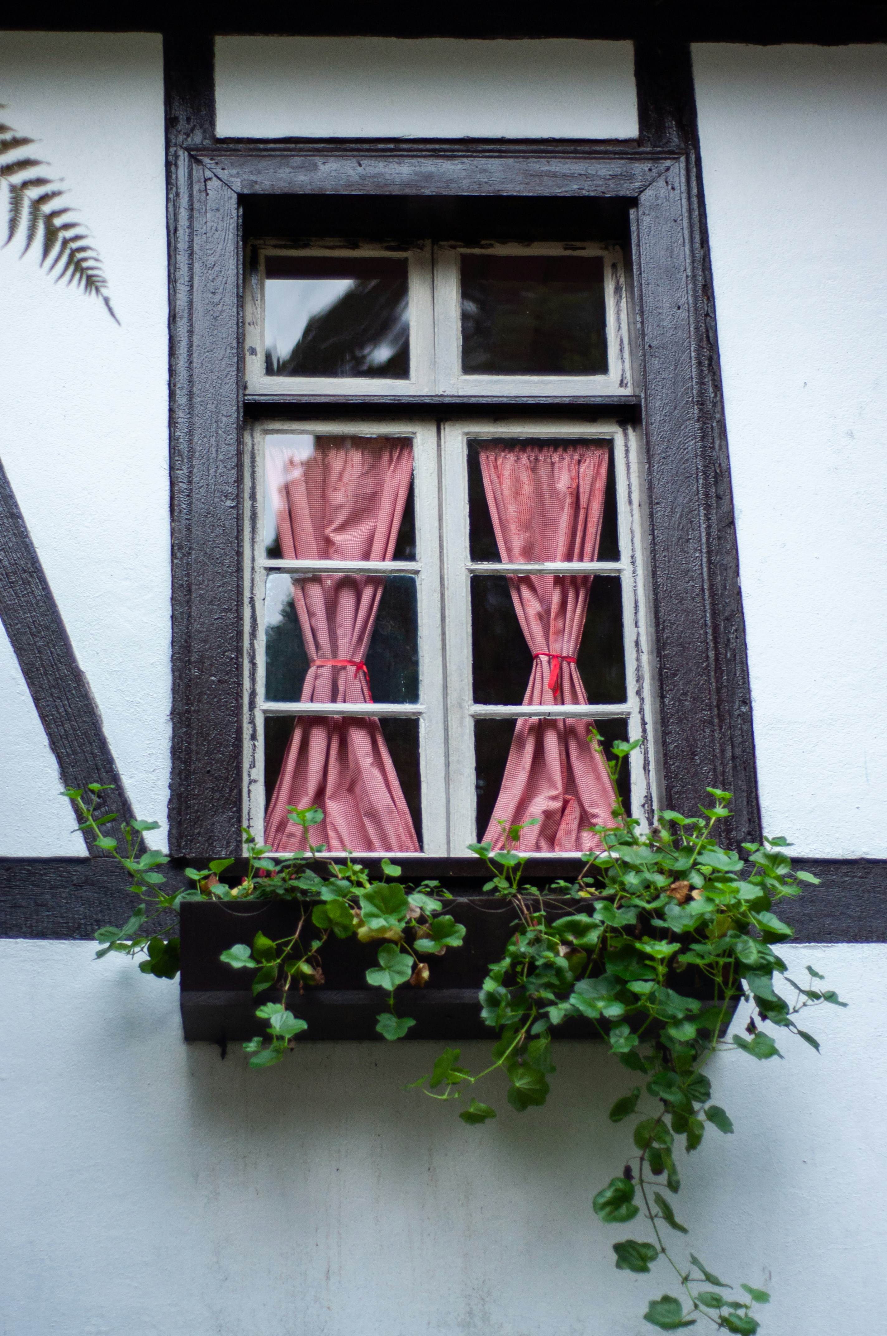 Pink Drapes Behind Timber Framing: A Quiet Window Garden