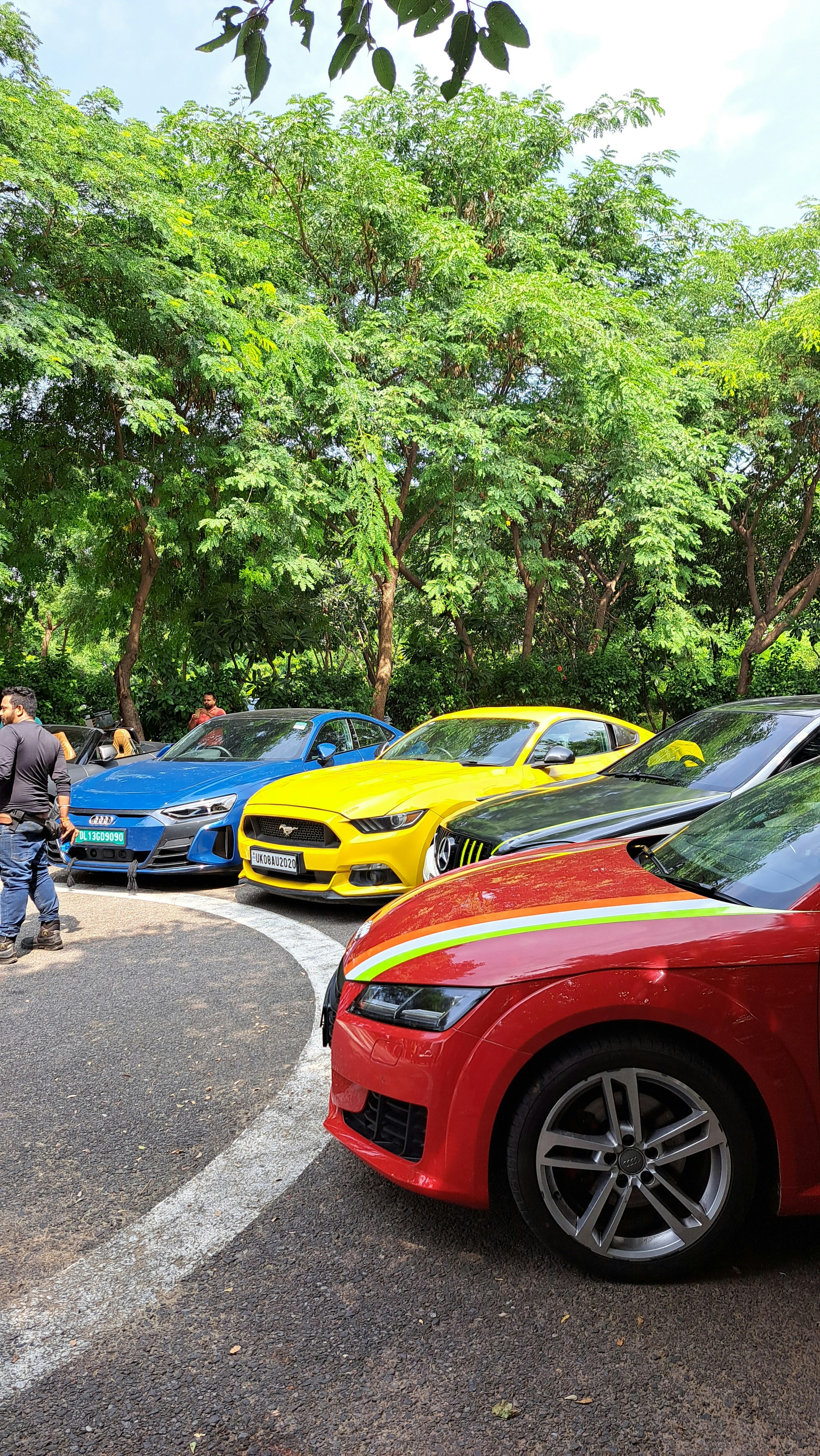 Chromatic Parade: Vivid Sportscars Under a Canopy of Green