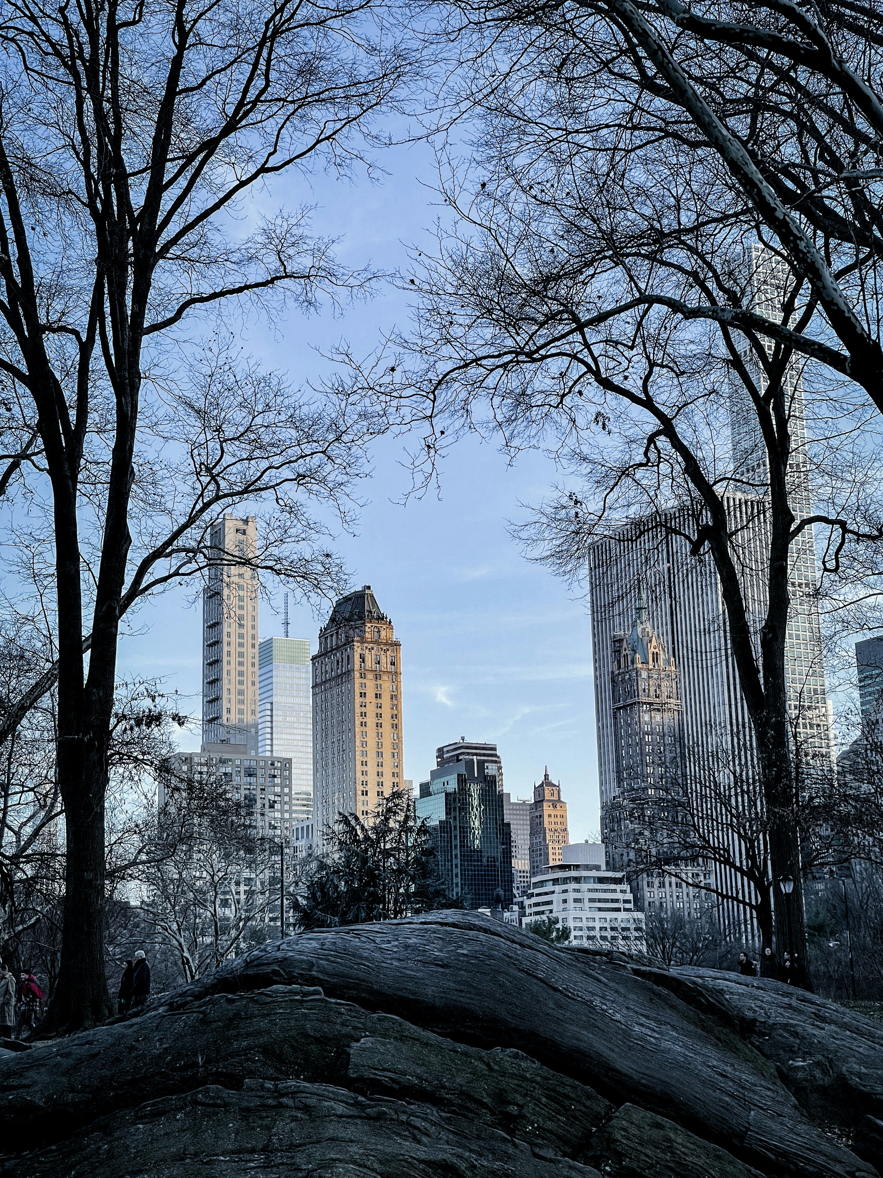 Framed Skyline: Central Park Rock and Midtown Towers in Winter Light
