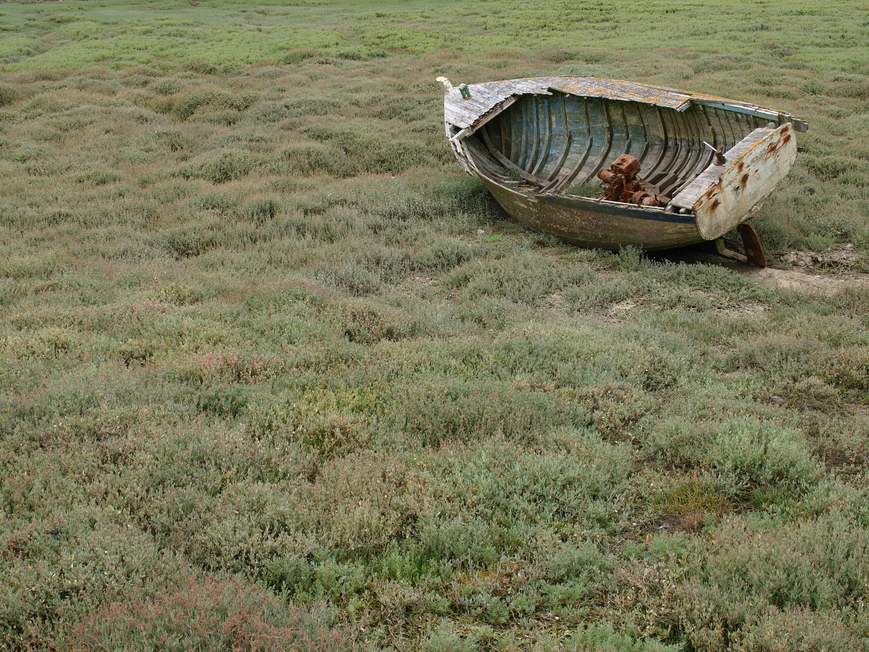 antonin haab (@antonin_haab) | Komunitas Foto Unsplash