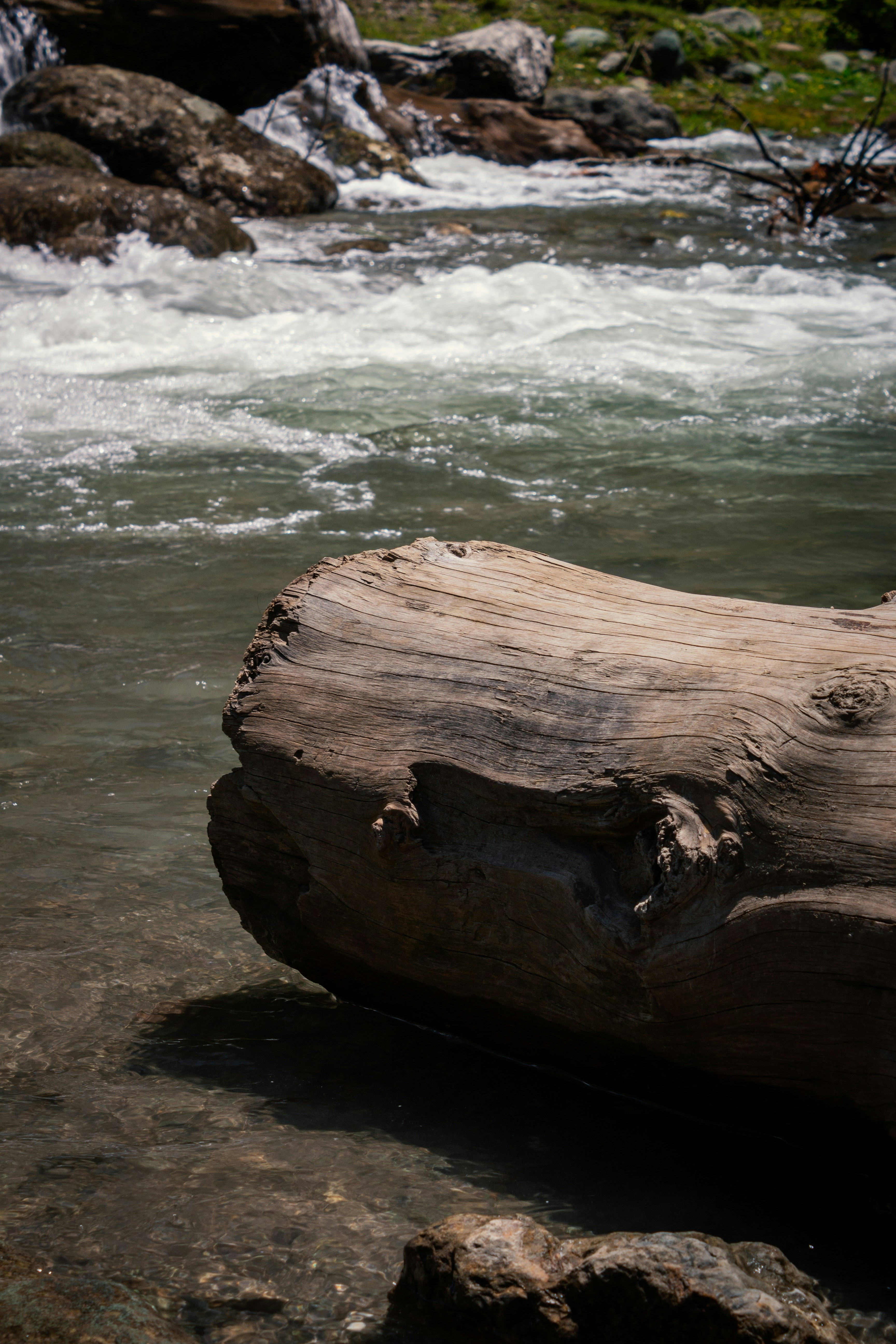 A log sitting in the middle of a river photo – Free Wood Image on Unsplash