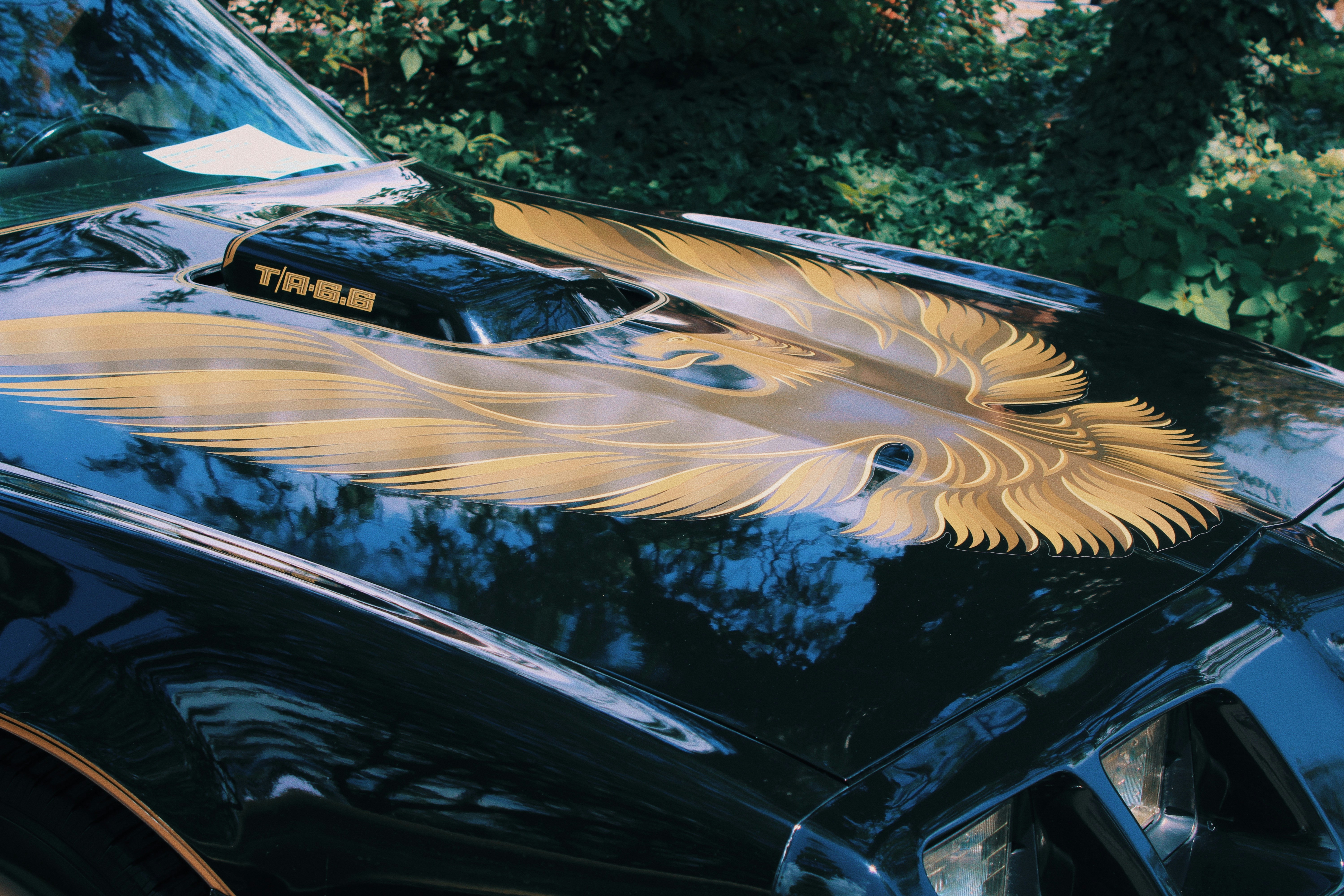 Shagduk Movies - The Last Redoubt