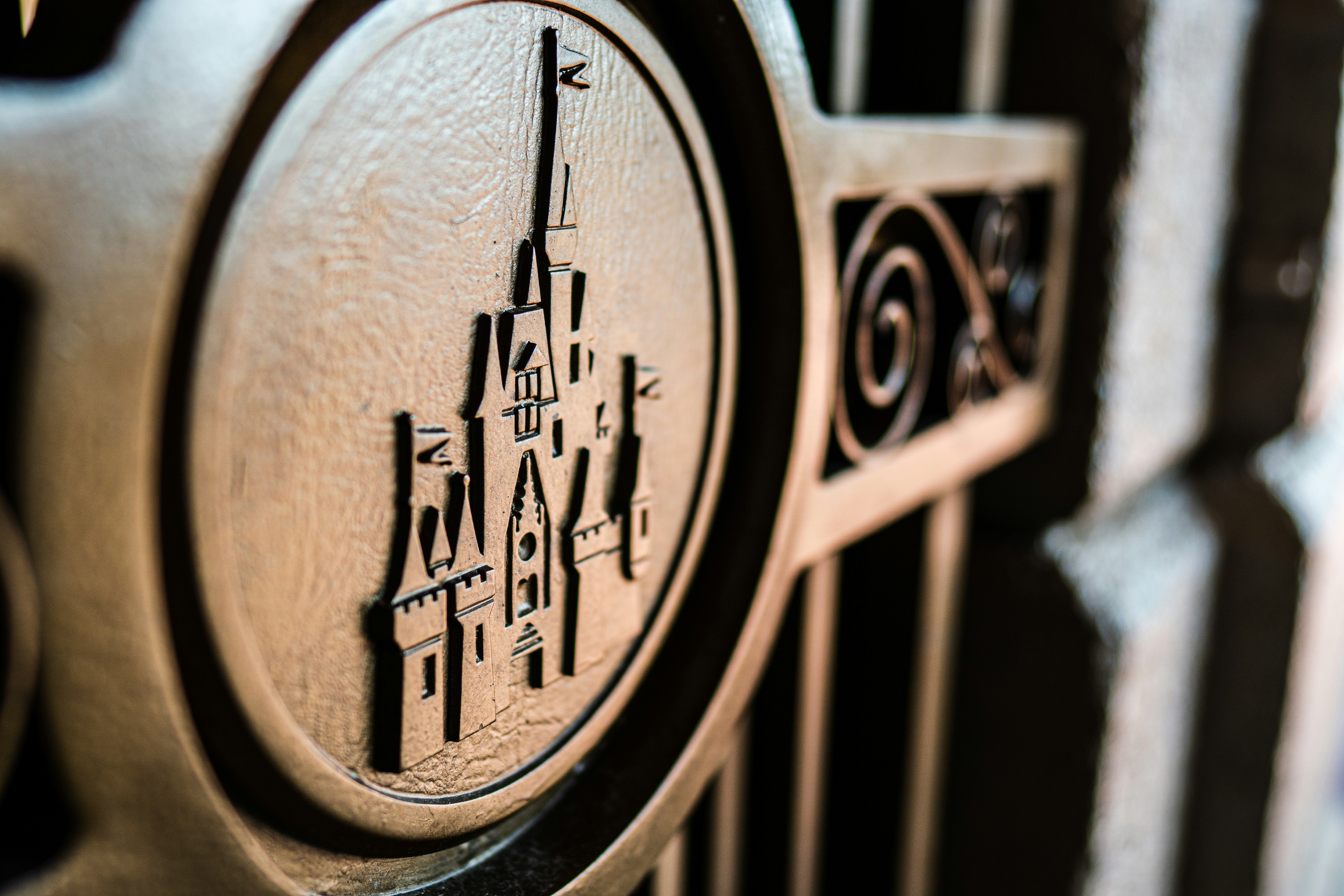 Bronze Castle Crest on Iron Gate: a Close-Up of Craft and Shadow