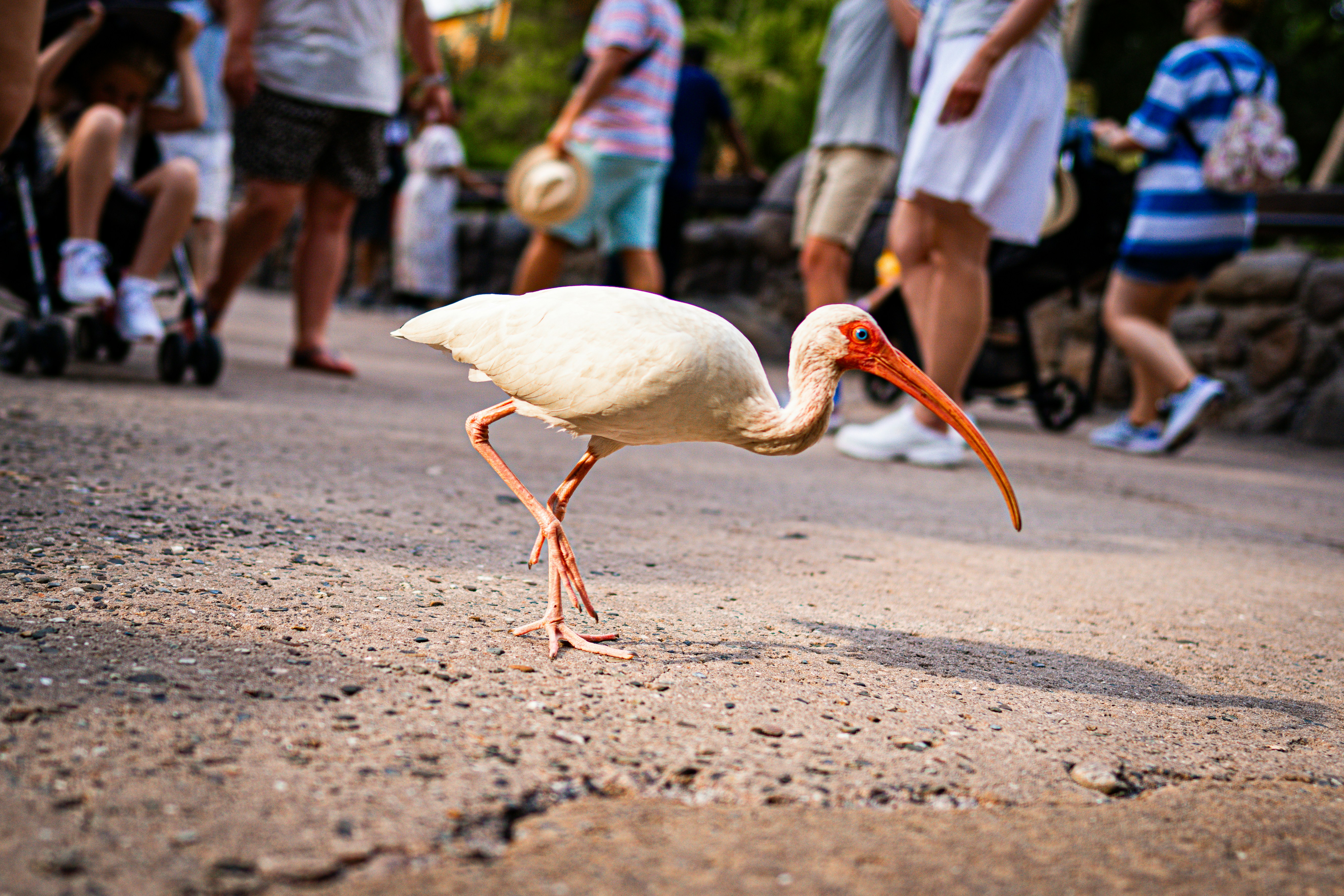 Photo by Sean Nufer with Sony Alpha 6400