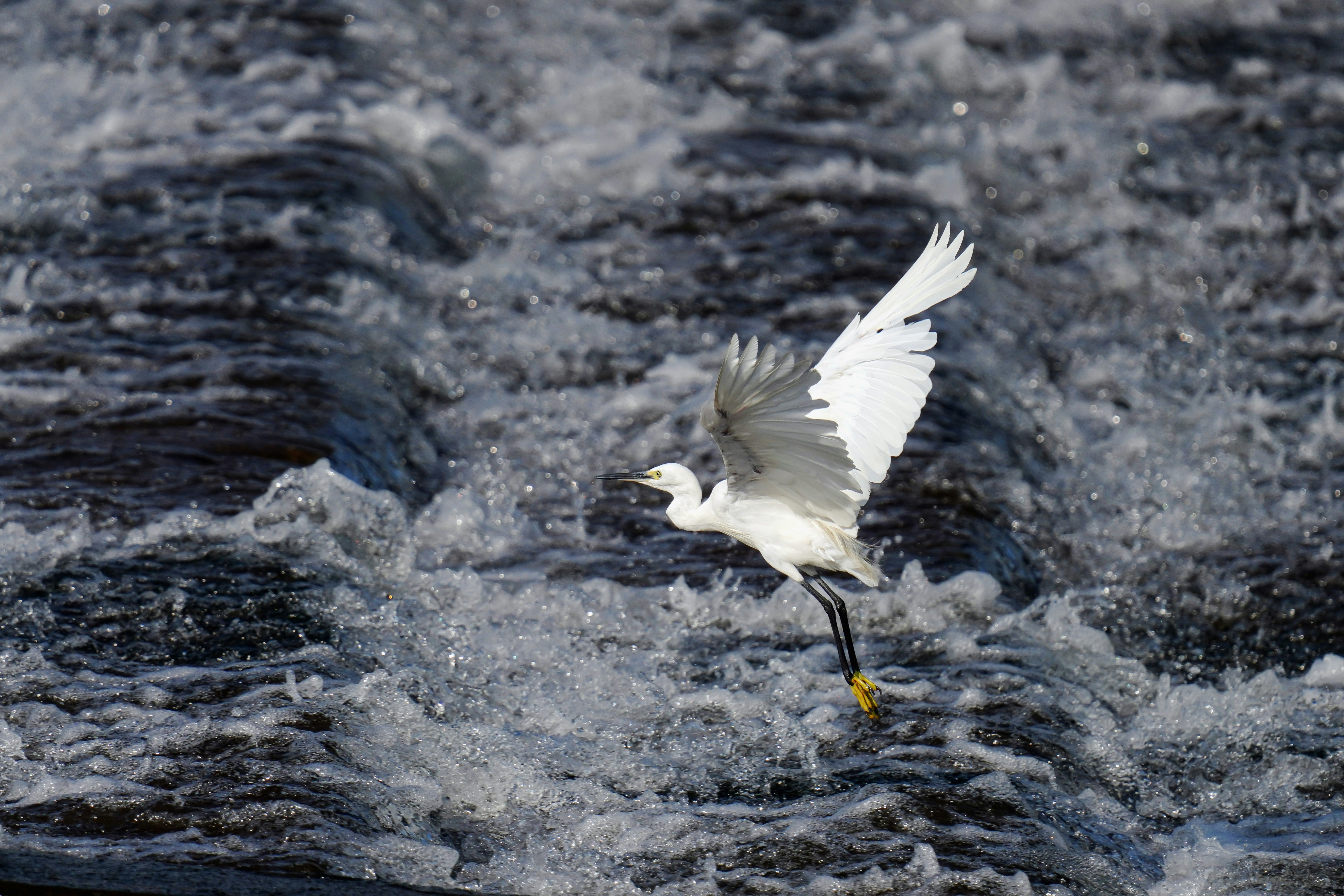 Photo by daejeung Kim with Sony Alpha 7R IV