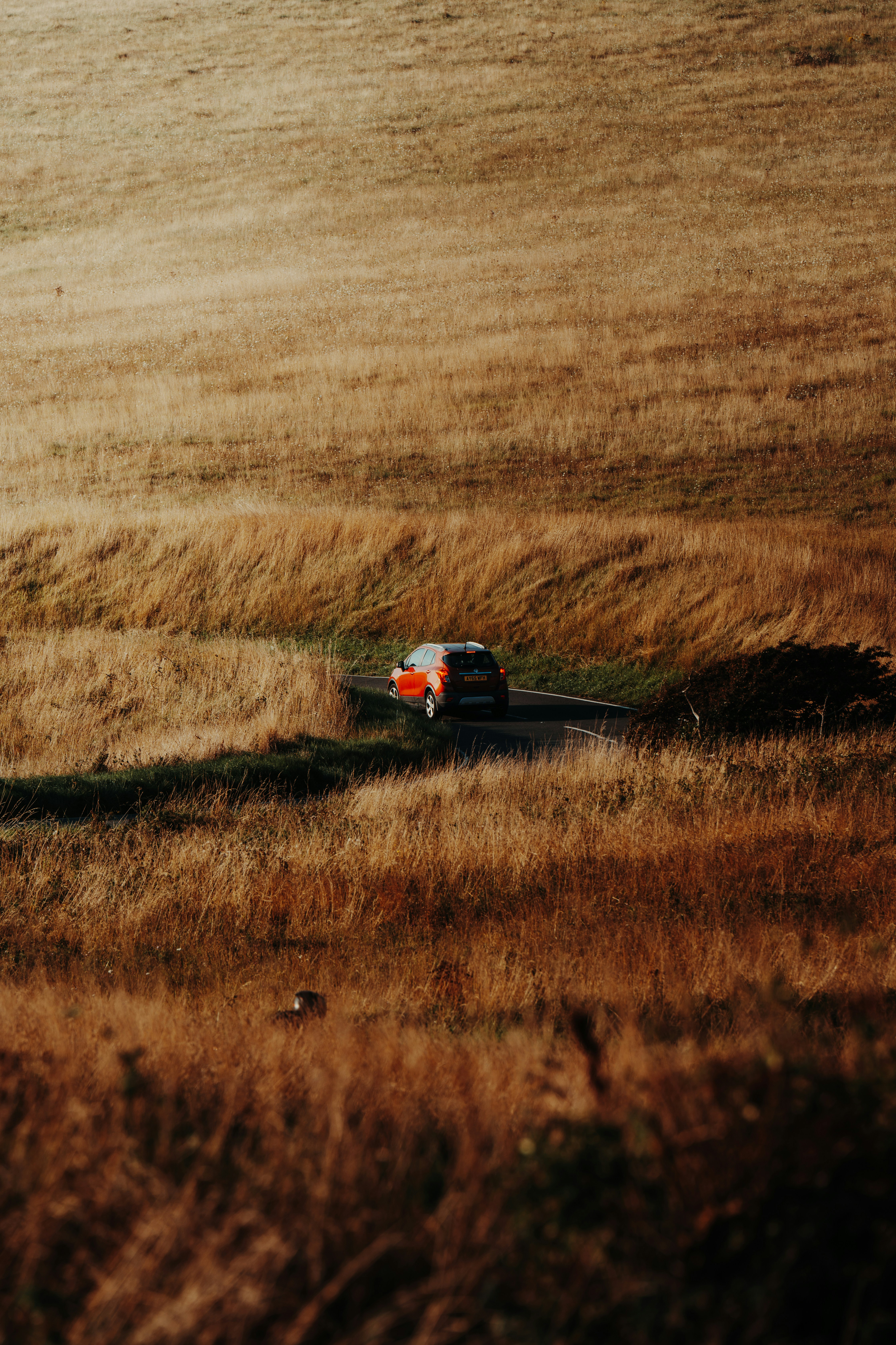 Un camion traversant un champ d’herbes hautes photo – Photo Route ...