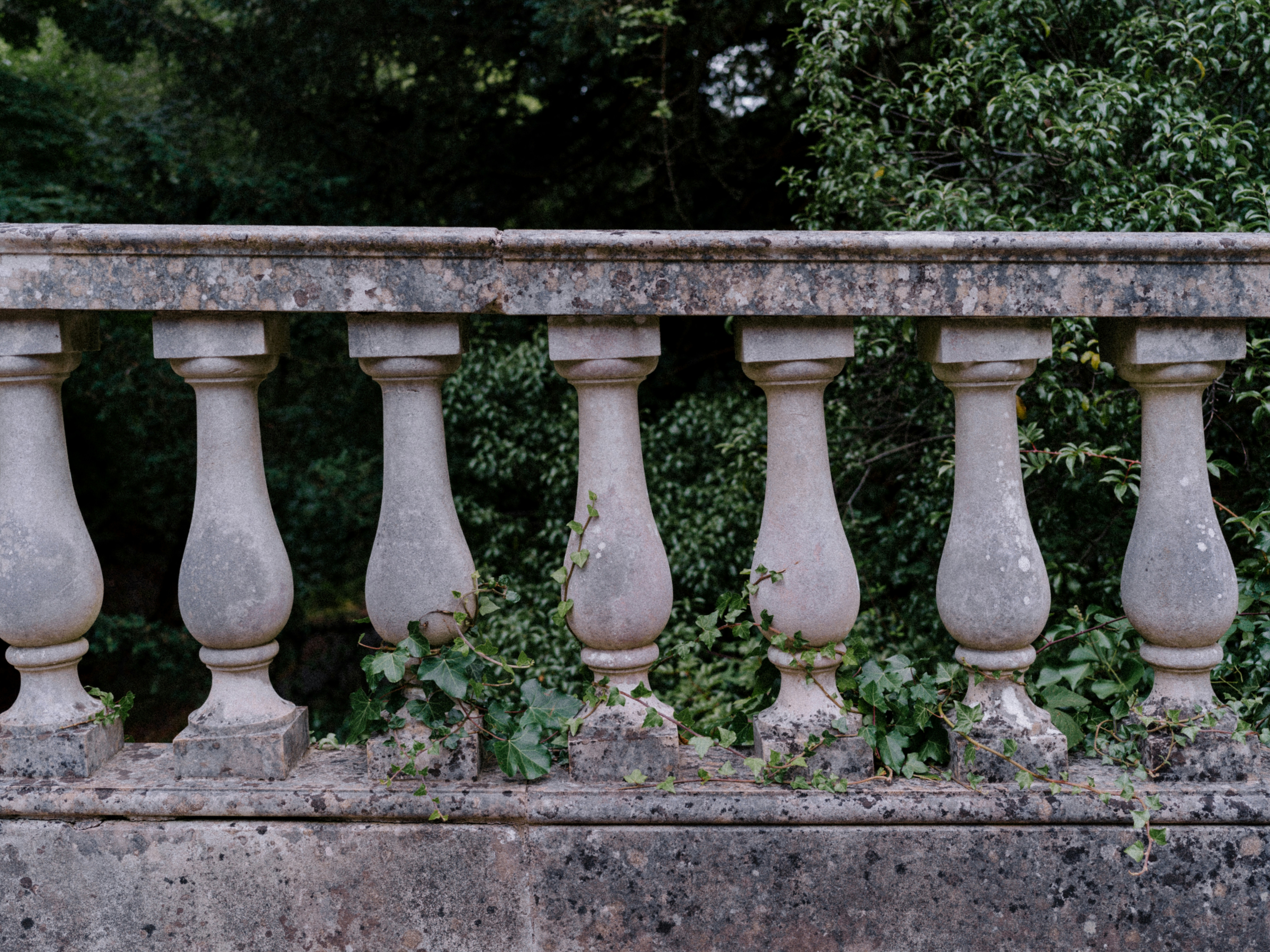 Between Moss and Marble: A Quiet Balustrade Portrait