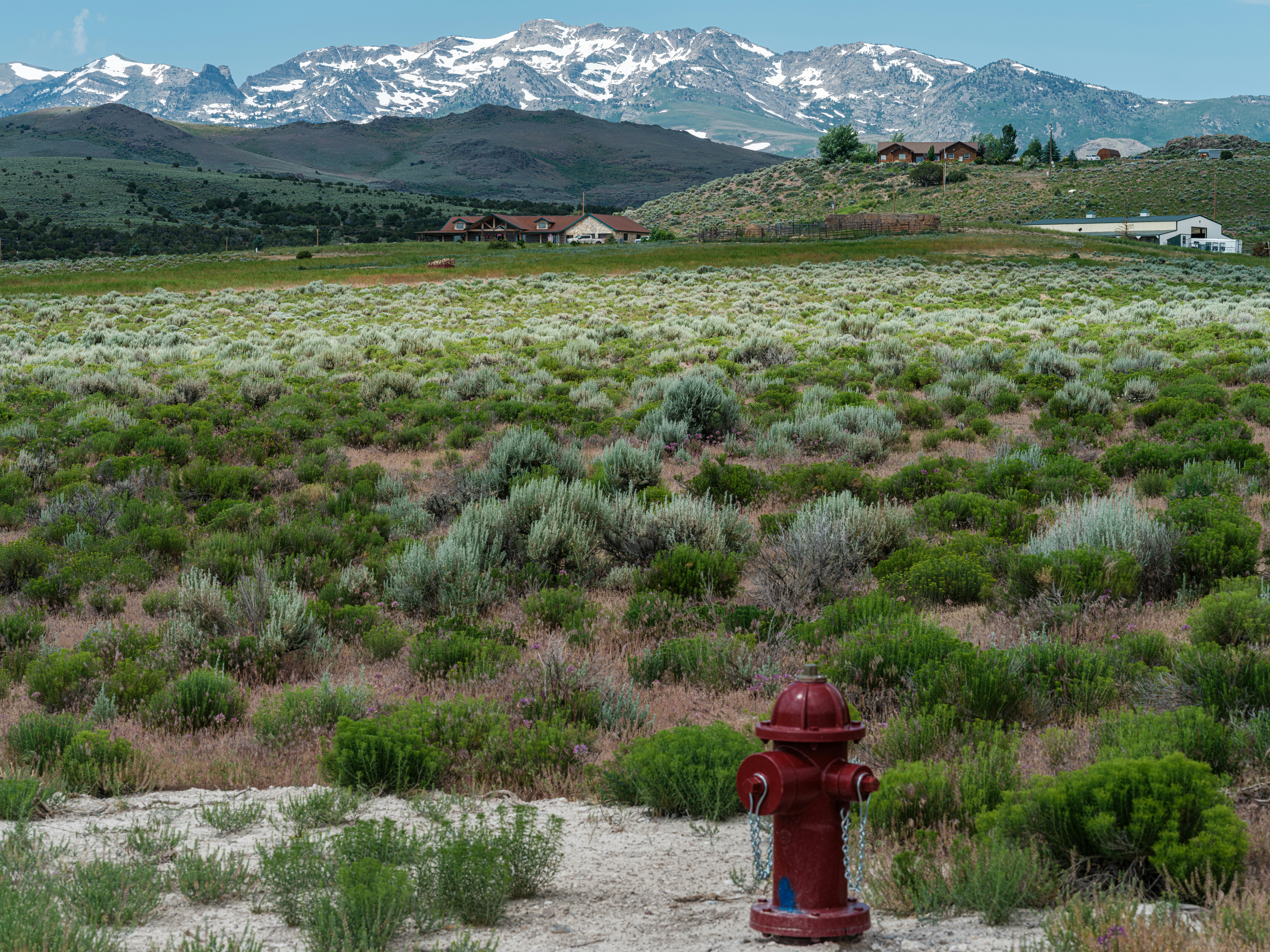 Crimson Fire Hydrant Amid Sagebrush Prairie with Snowbound Rockies