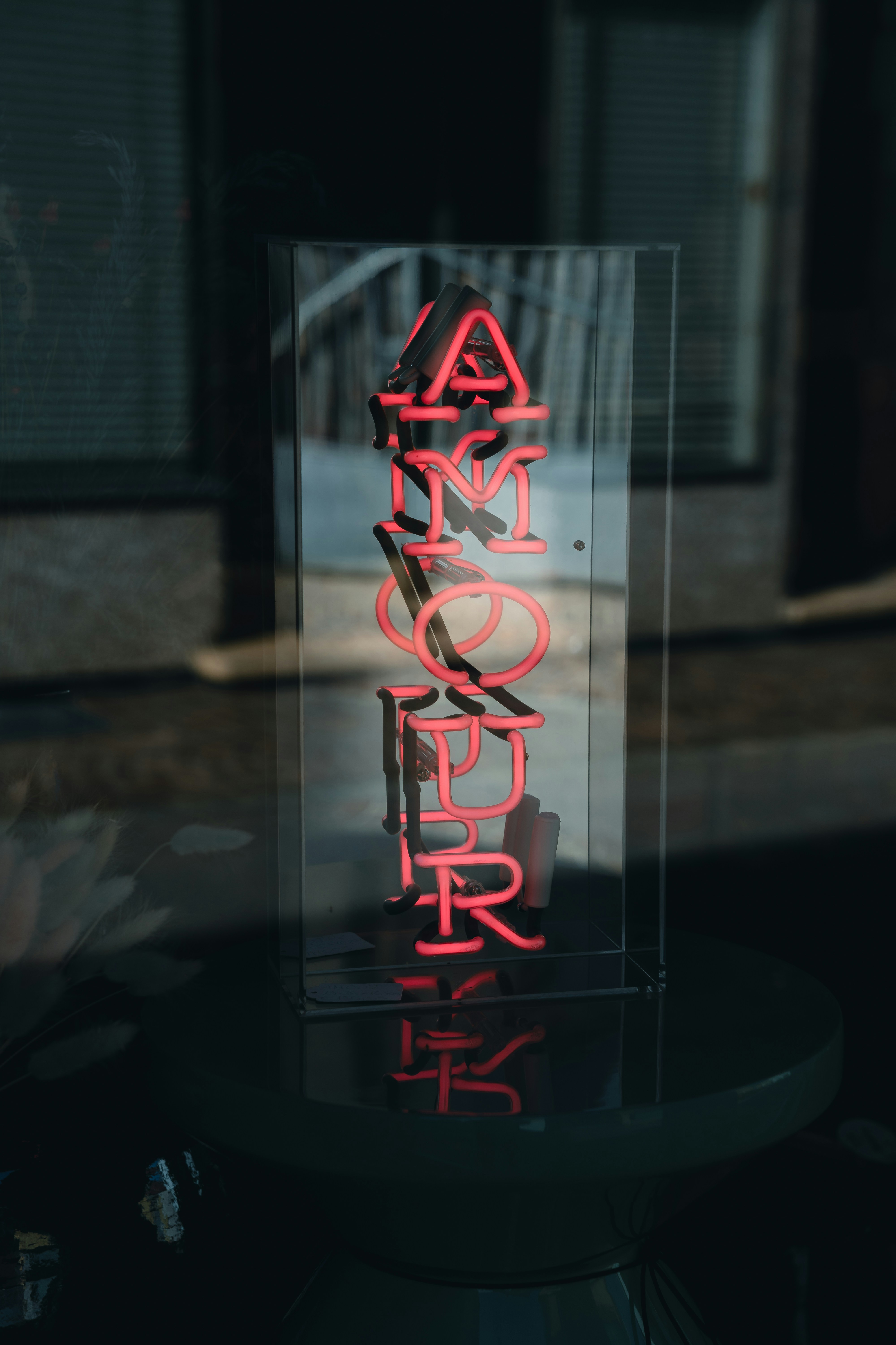 Photo by Emanuel Haas with Sony Alpha 7C