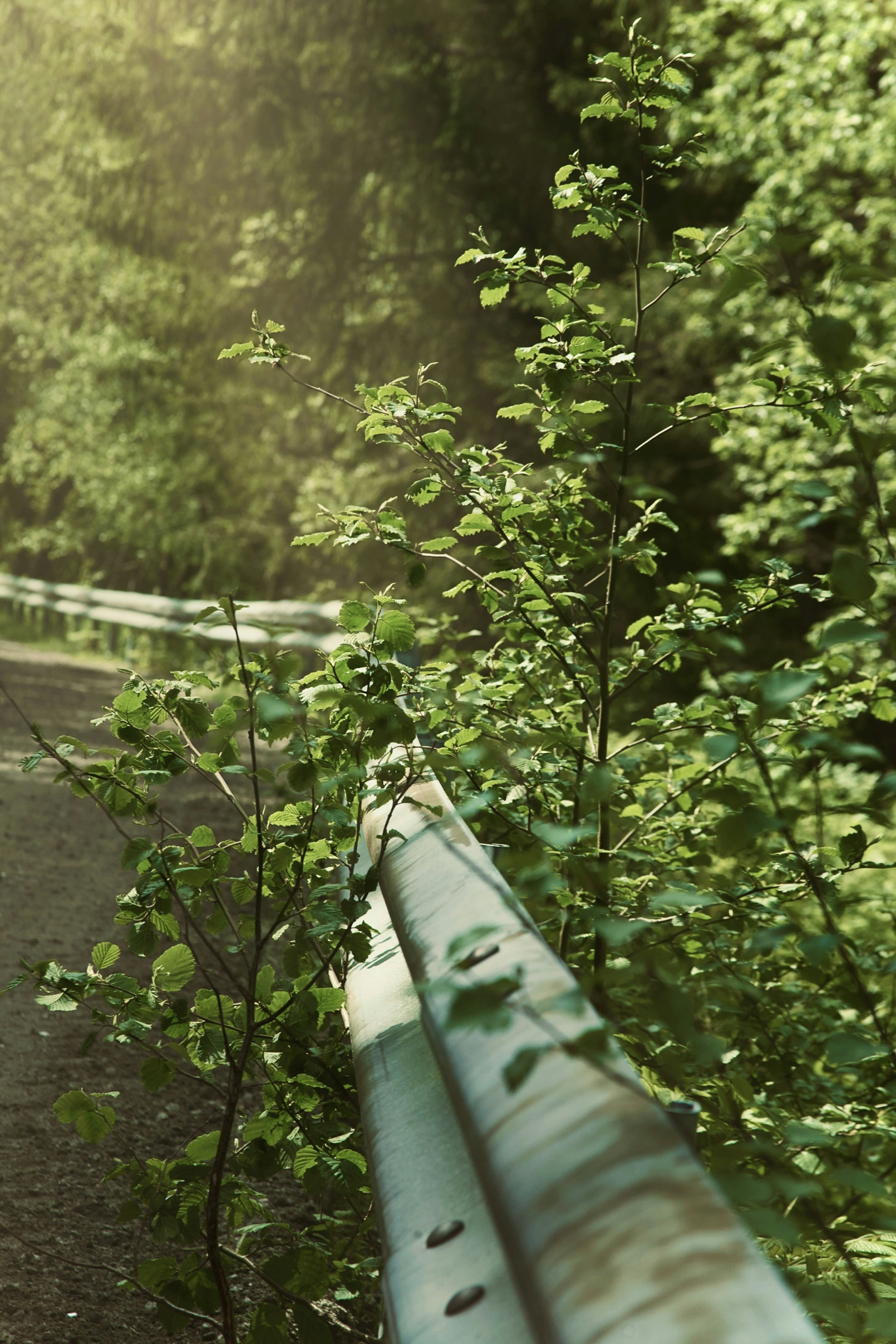 Little bit rusty guardrail on a gravel road in the middle of a forest.