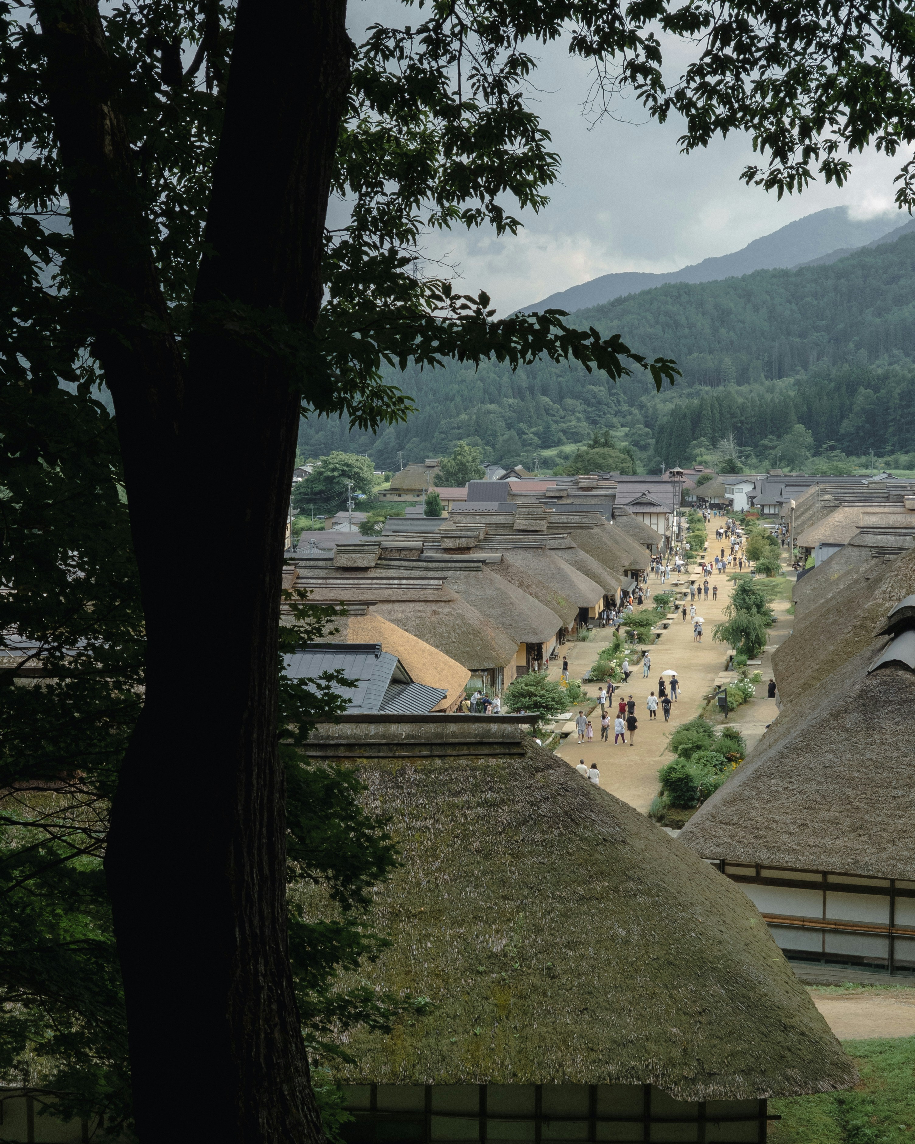 Photograph of a long village street lined with steep thatched-roof houses, seen through a foreground tree, with pedestrians along the central path and forested hills in the distance.