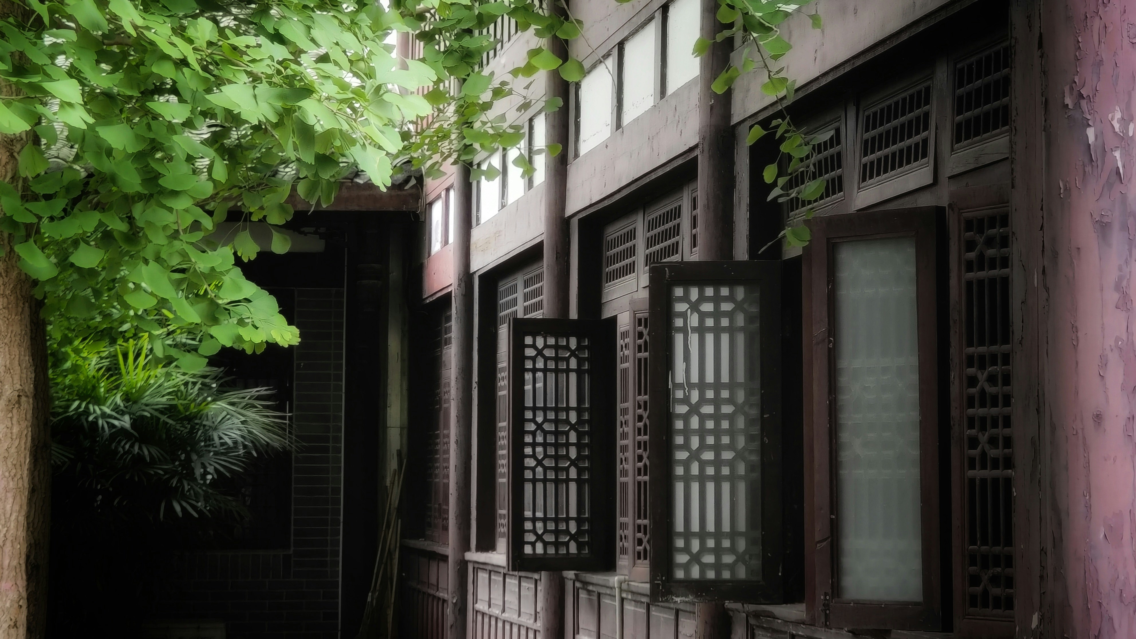 A narrow alley way with lots of windows photo – Free City Image on Unsplash