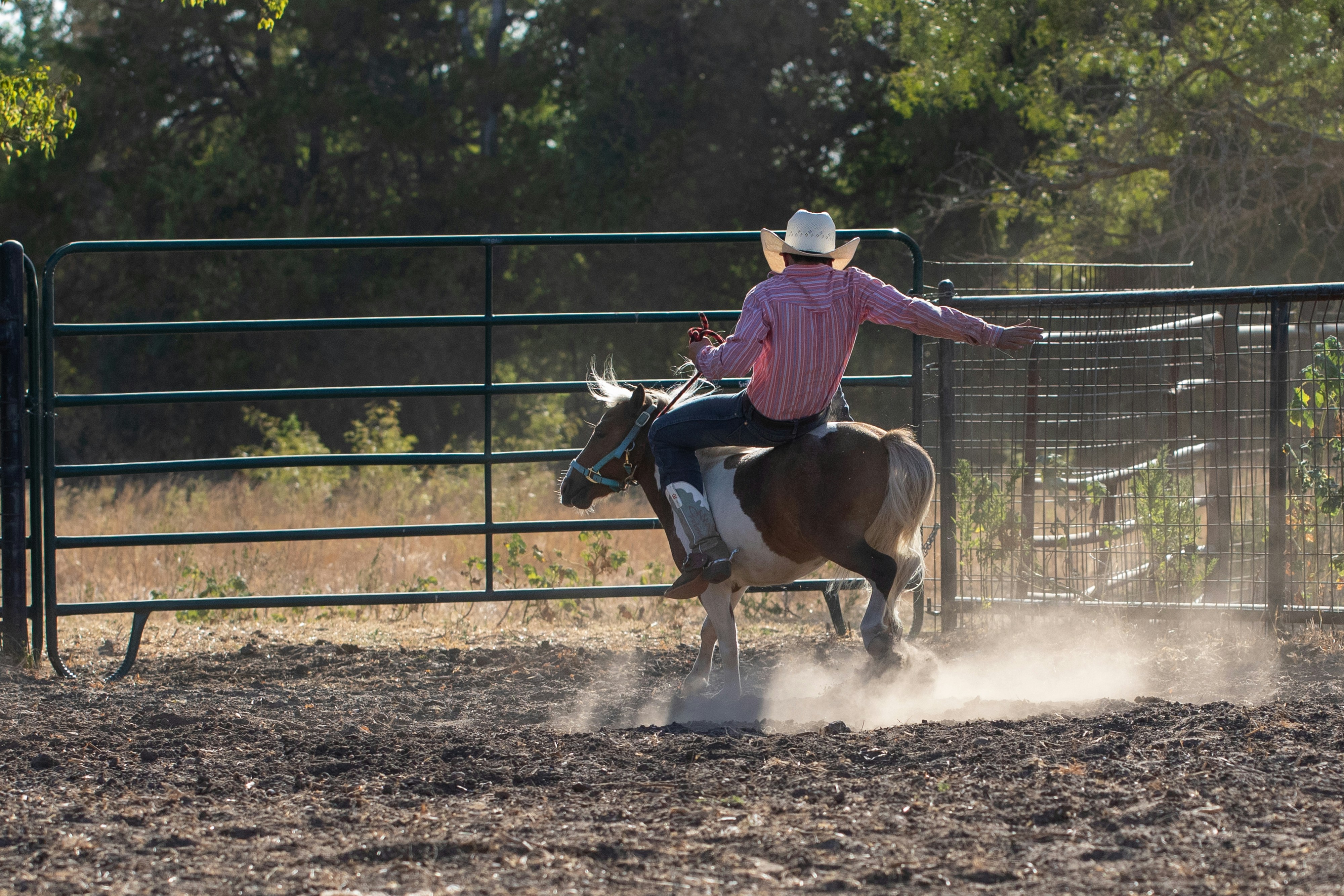A person riding a horse in a fenced in area photo – Free Animal Image ...