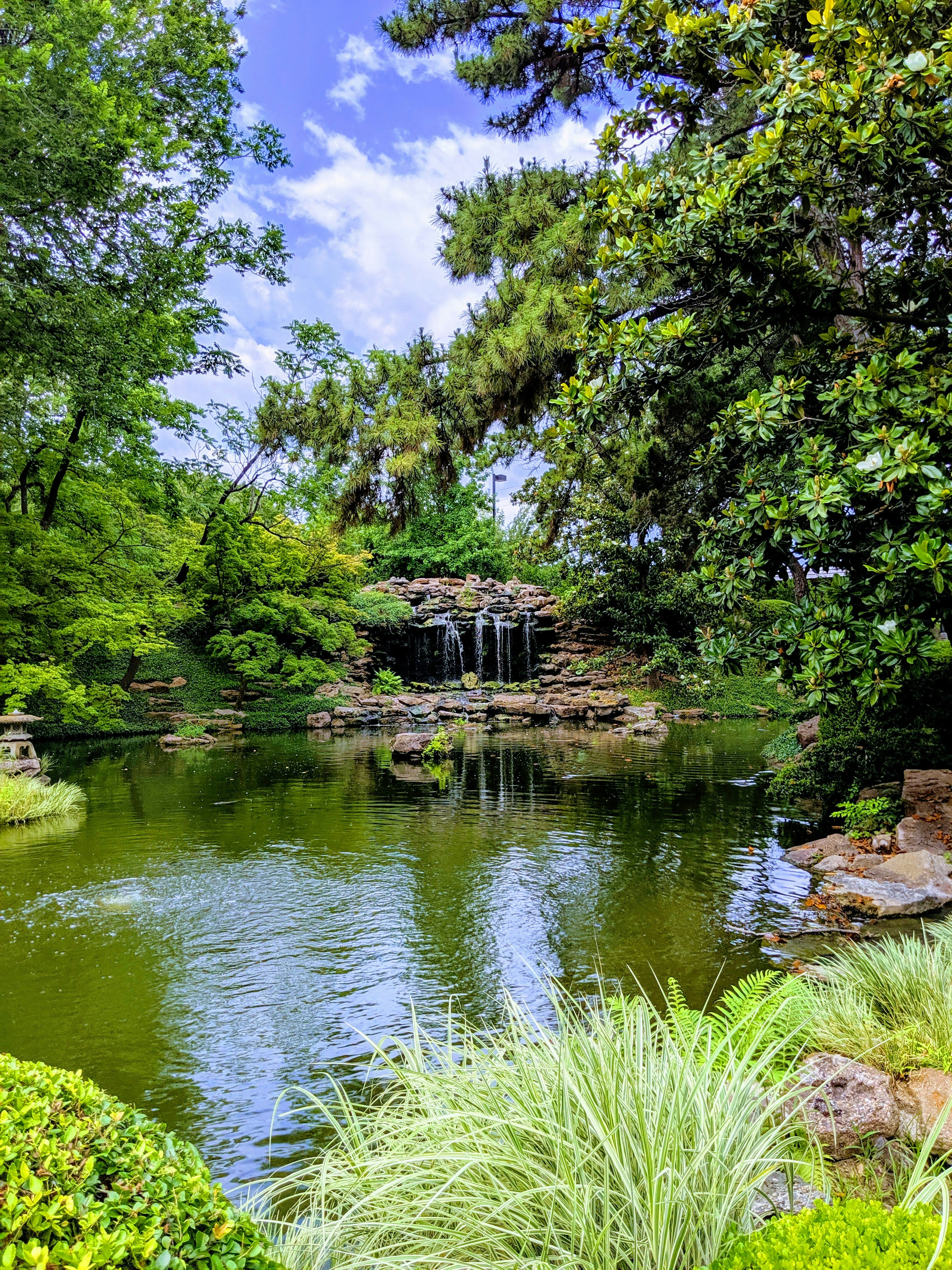 Cascade at the Garden Pond: A Quiet Green Oasis