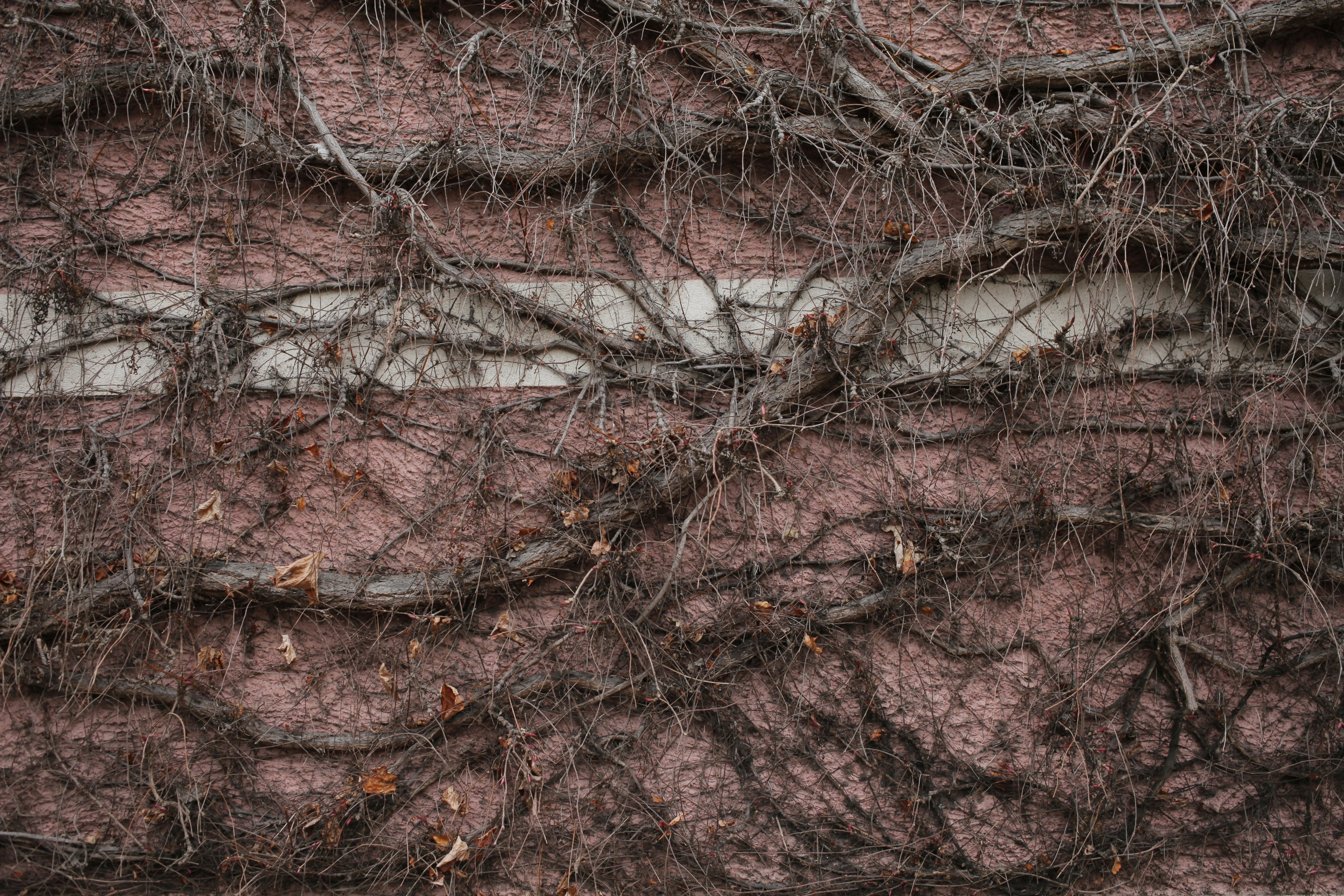 Photo by Eran Menashri with Canon EOS 5D Mark II