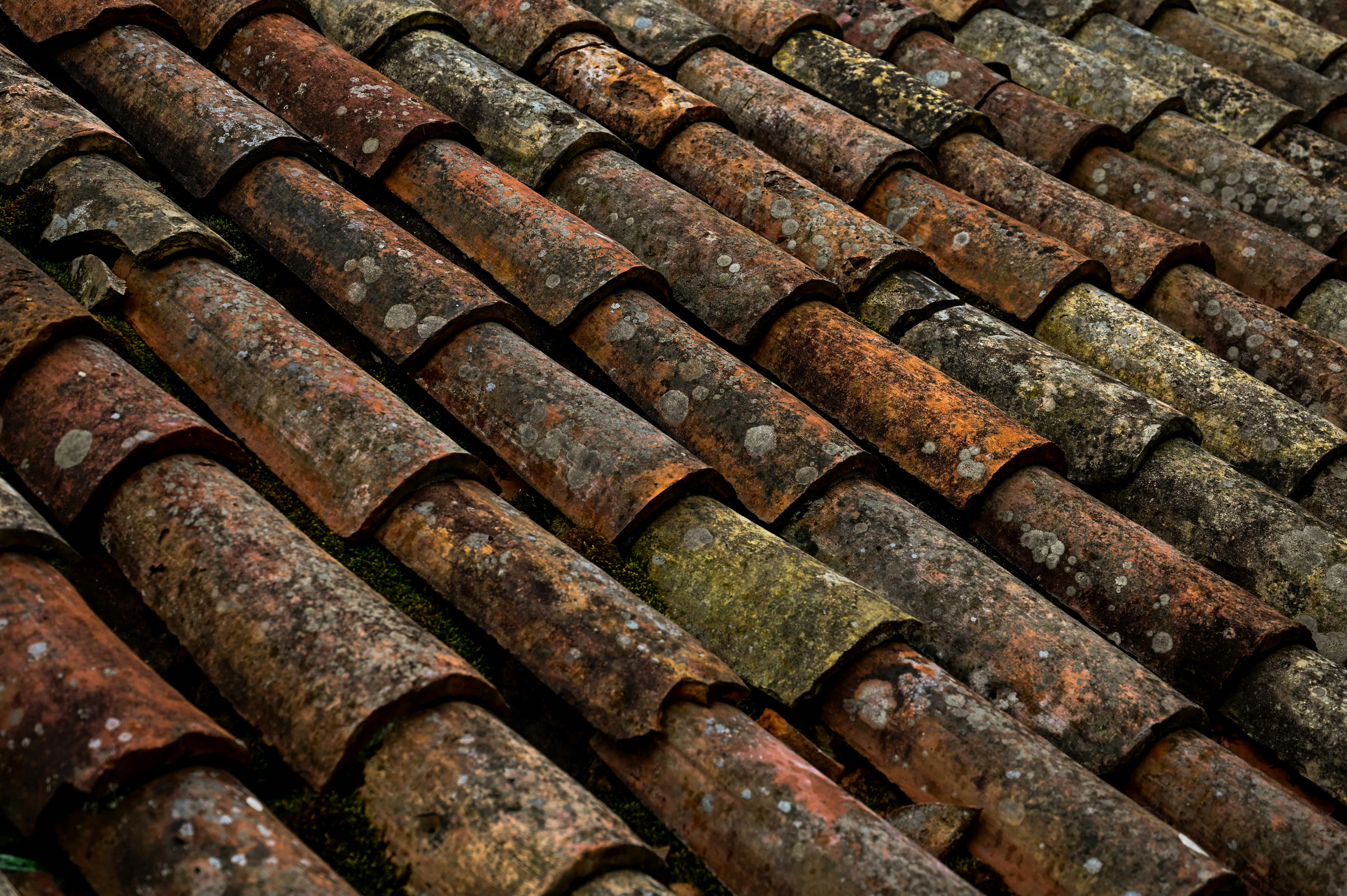 A large amount of rusted roof tiles photo – Free Ruined buildings Image ...