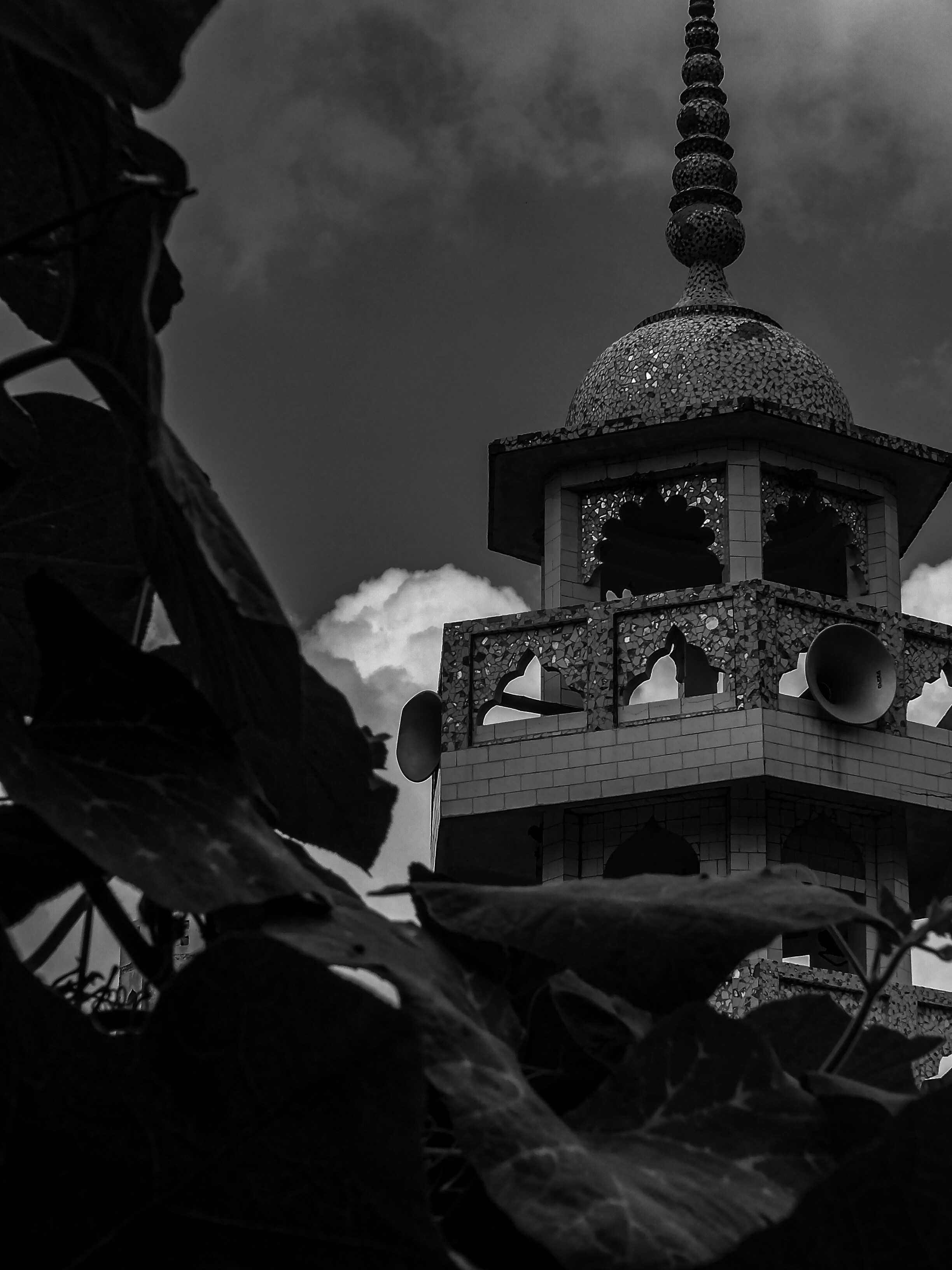 Black-and-white photograph of a temple tower peeking through dense foreground leaves, featuring a mosaic dome and arched openings.