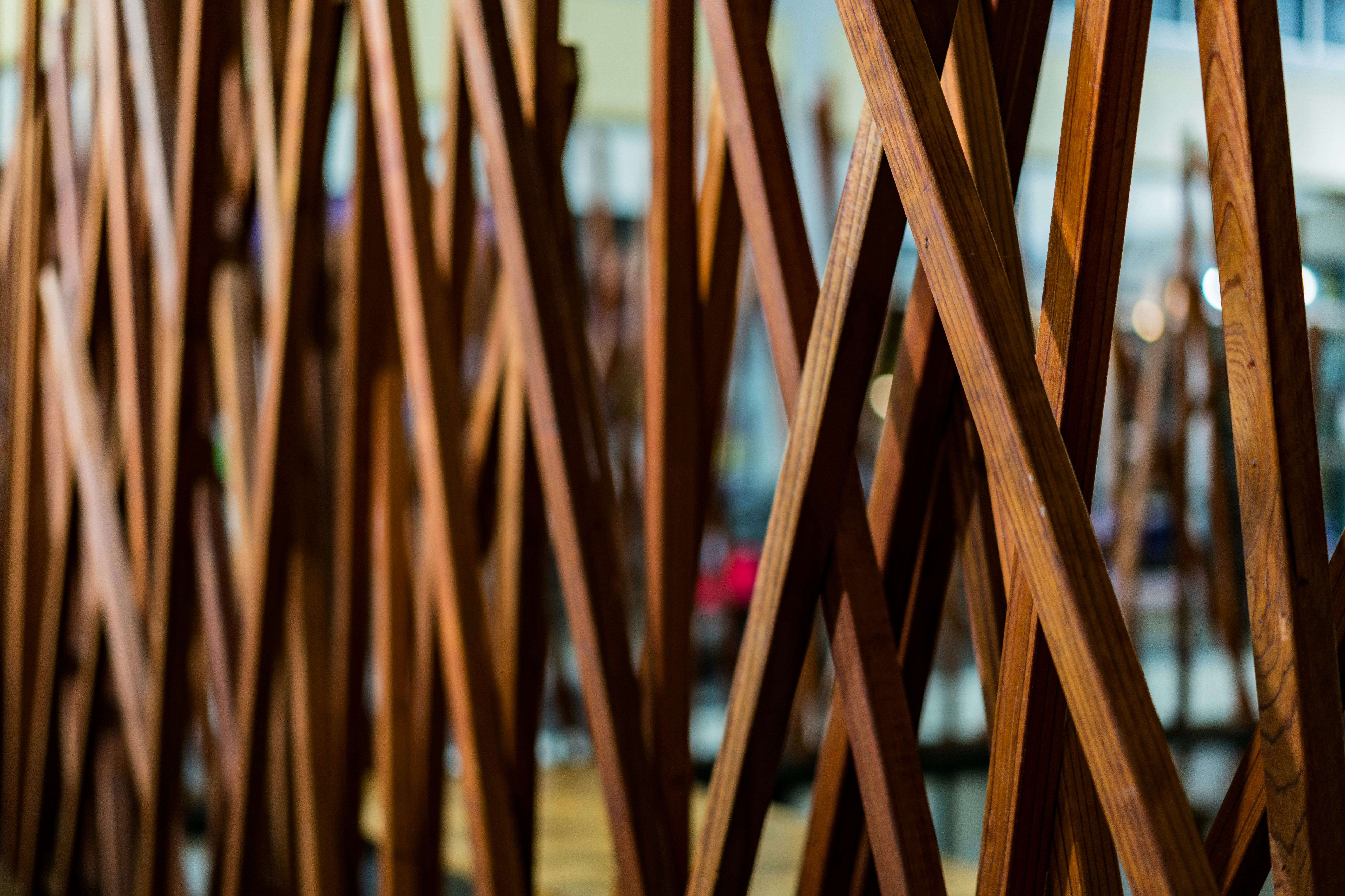 Photo by Xingchen Yan with Sony Alpha 7R II