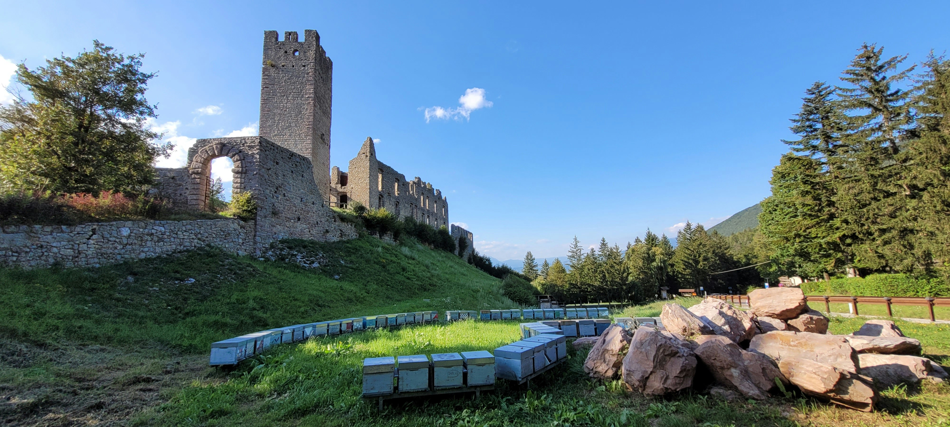 Sunlit Ruins on a Crest Over a Verdant Alpine Meadow