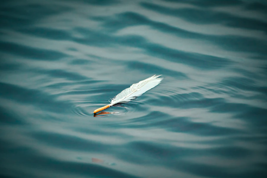 A single white feather with a tan quill drifts on softly rippled blue-green water. Gentle concentric rings spread around it.