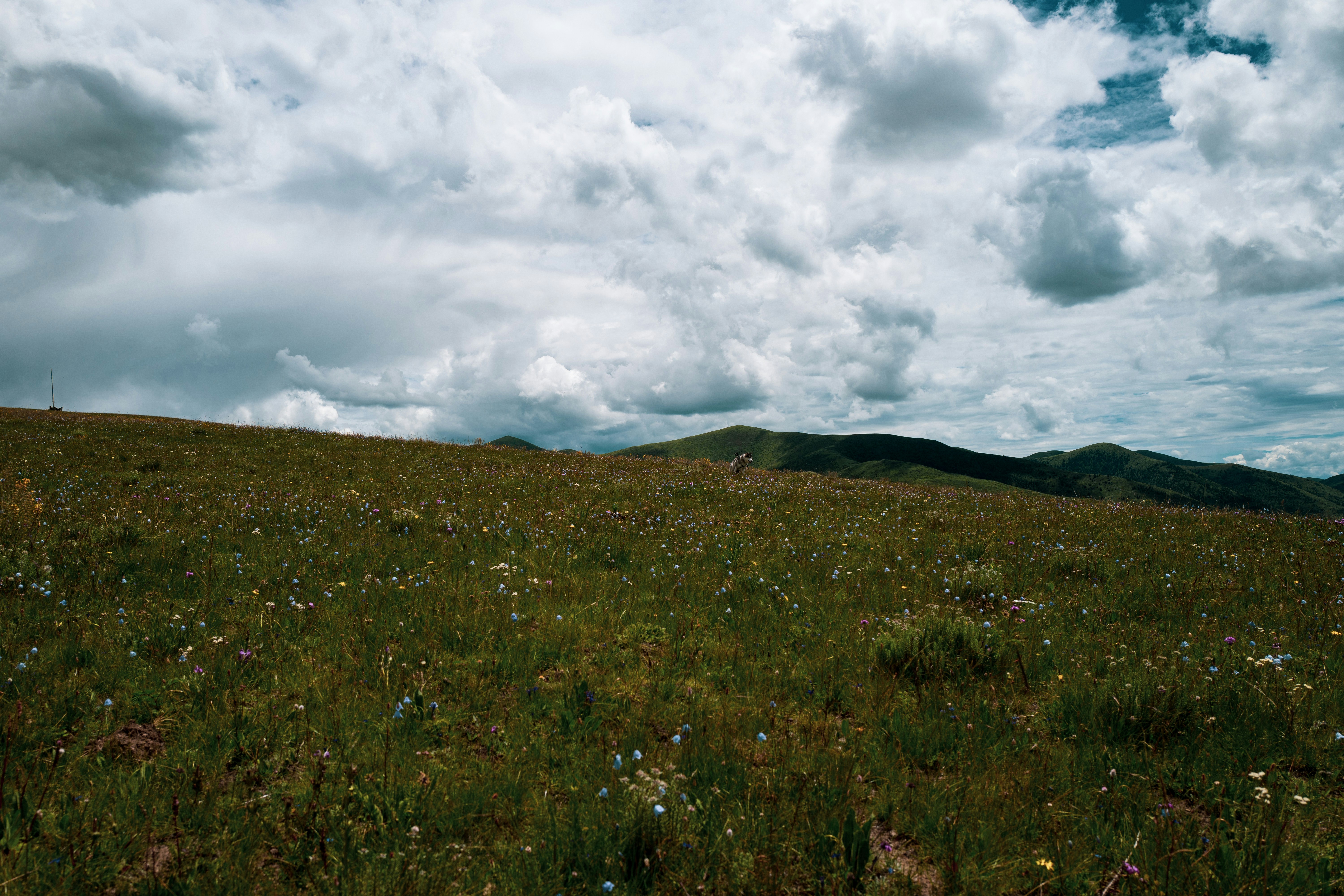 Photo by Xingchen Yan with Leica Q