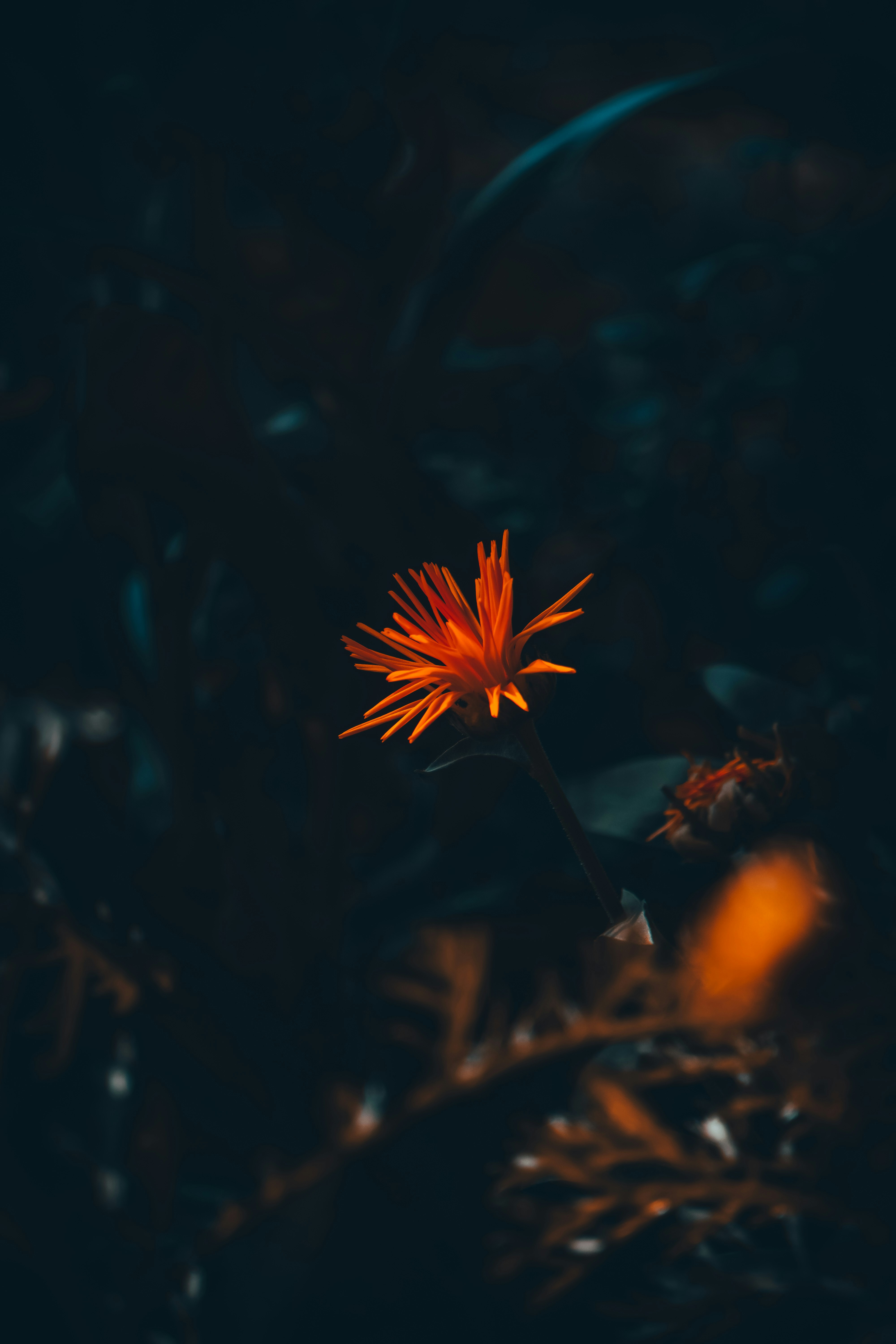 Photo by Garv Chaplot with Sony Alpha 6100