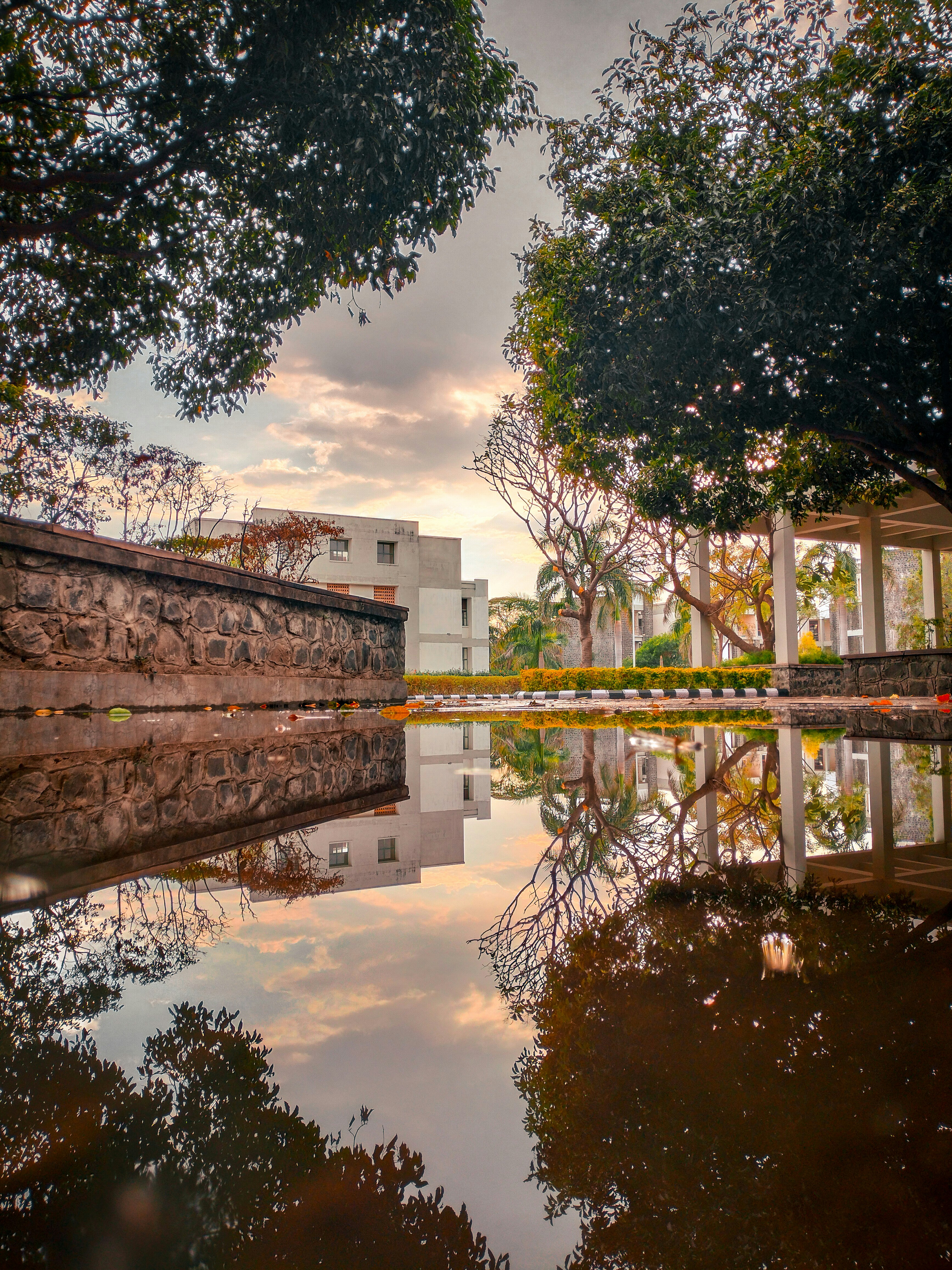 A reflection of a building in the water photo – Free Jaypee university ...