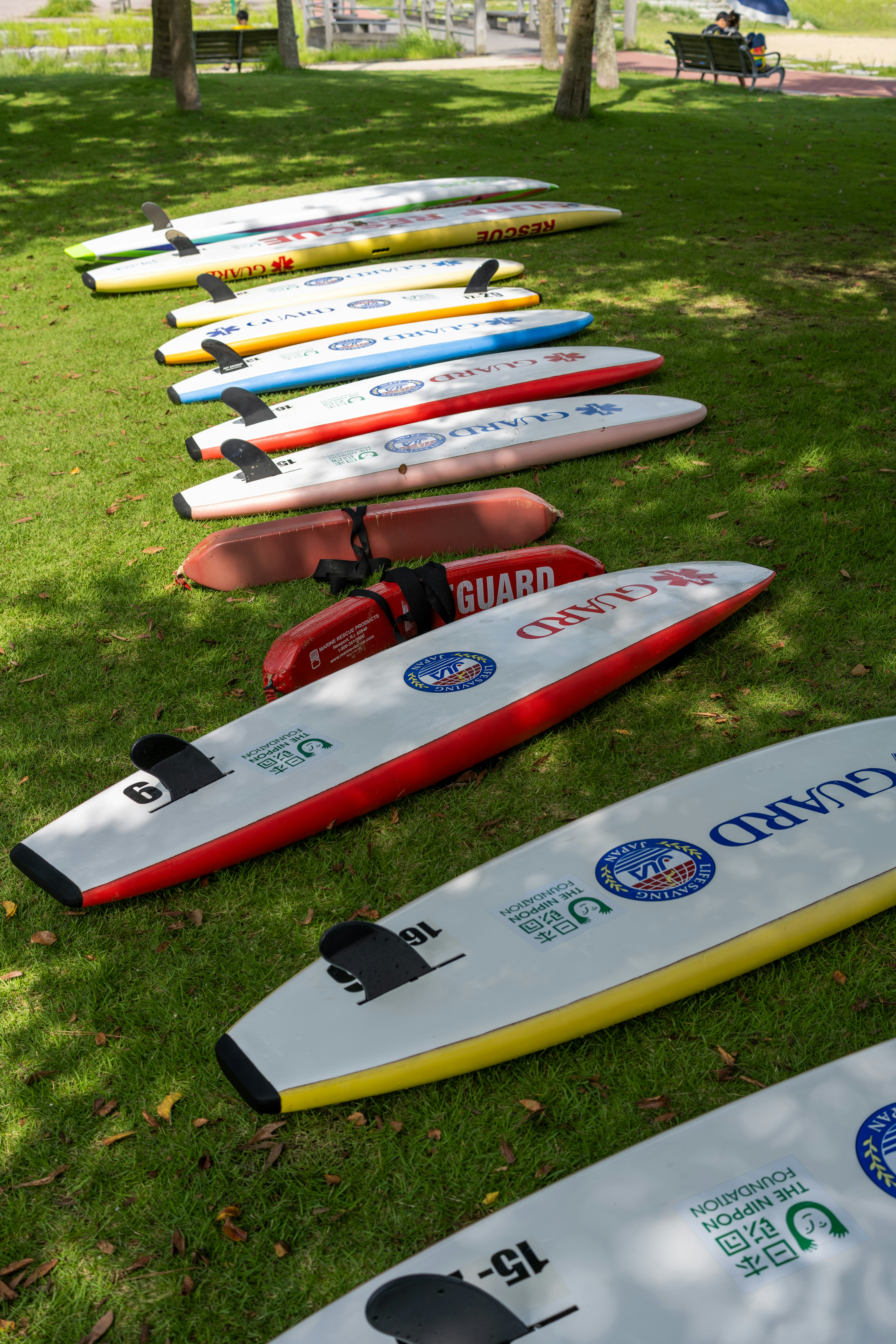 a row of surfboards sitting on top of a lush green field