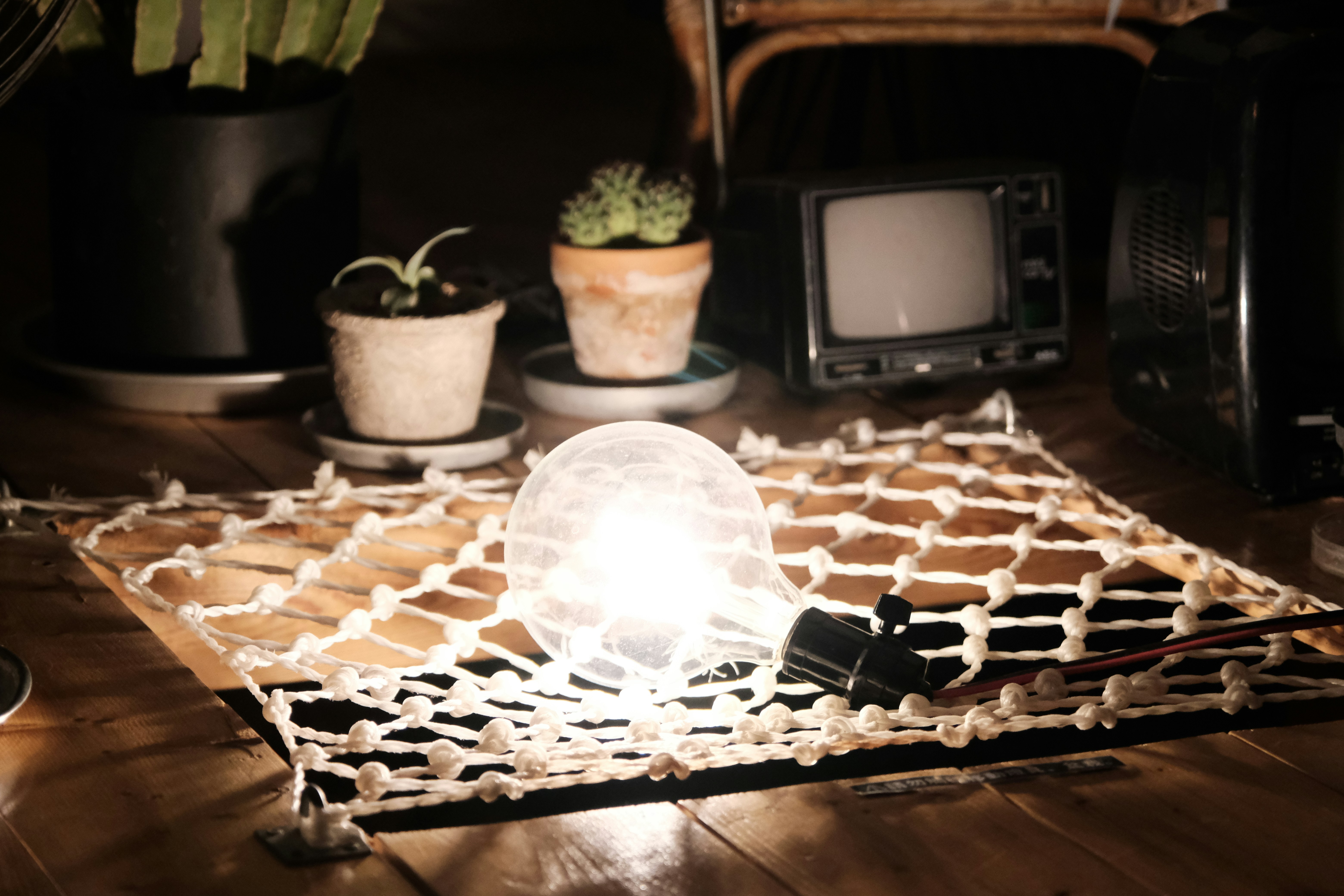 Glow on the Grid: A Bare Bulb Among Vintage Knickknacks