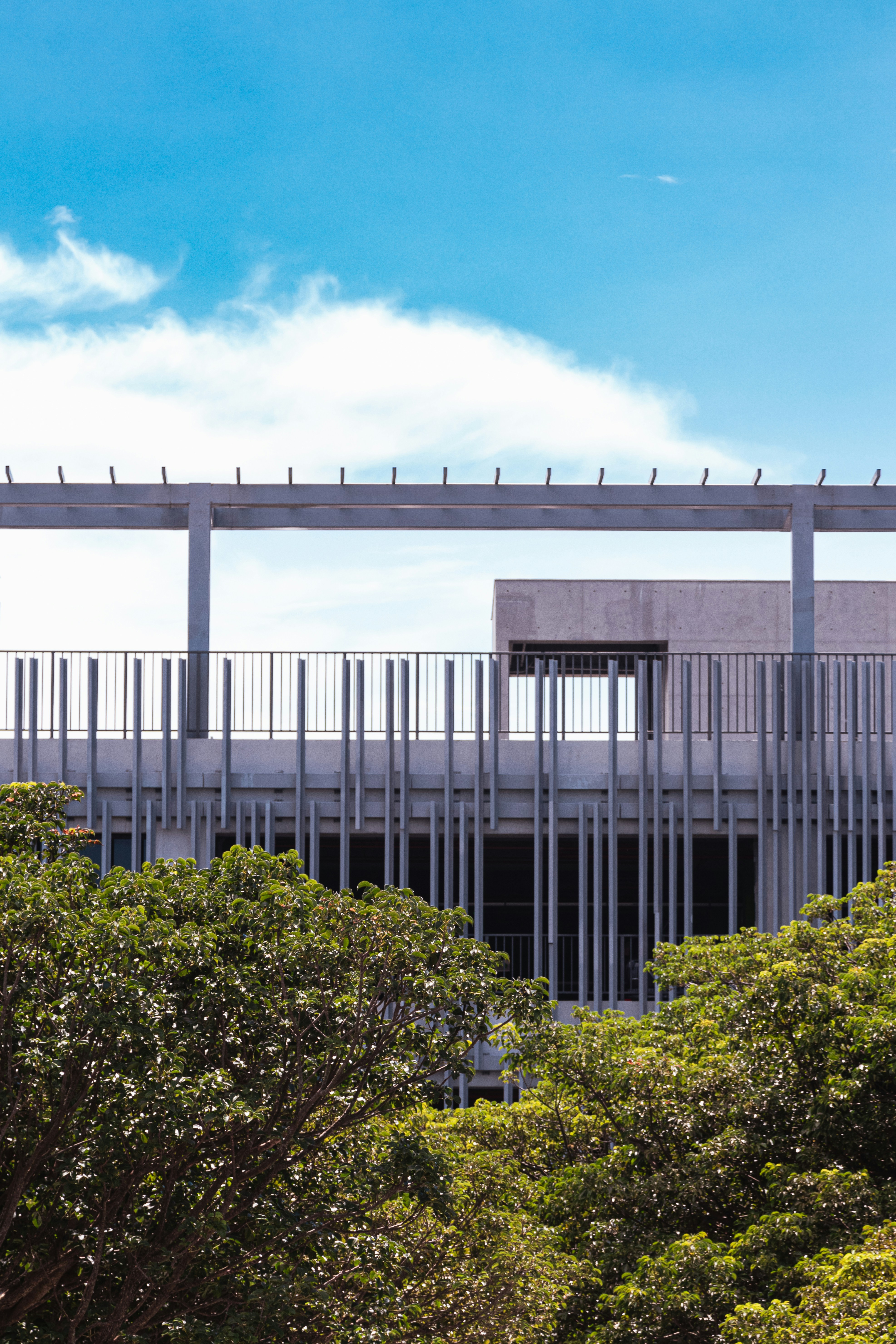 Photo by CHE-CHI LIN with Canon EOS 80D