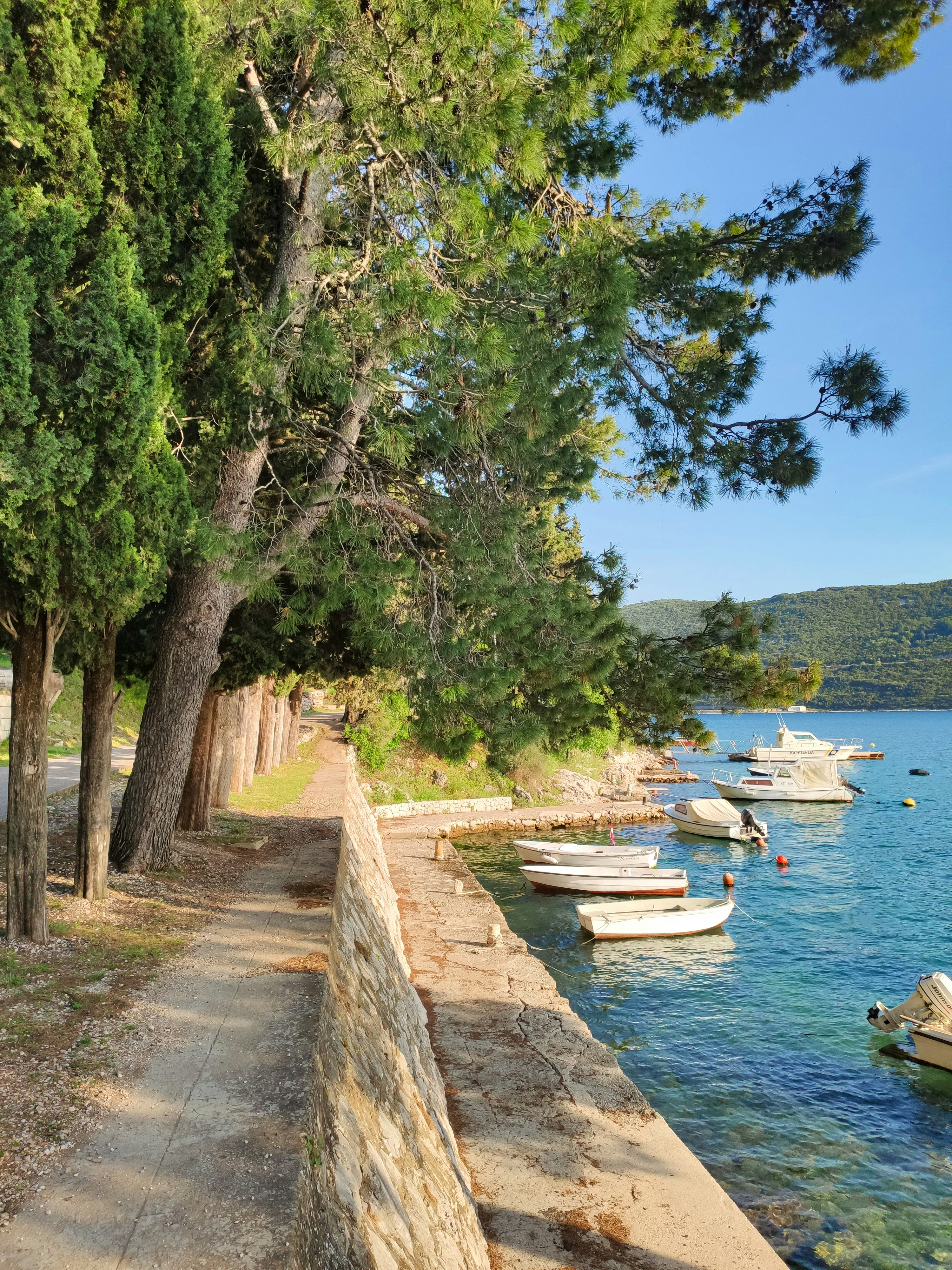 Sunlit waterfront path beside a stone seawall with tall pines, leading to small boats moored in clear blue water.