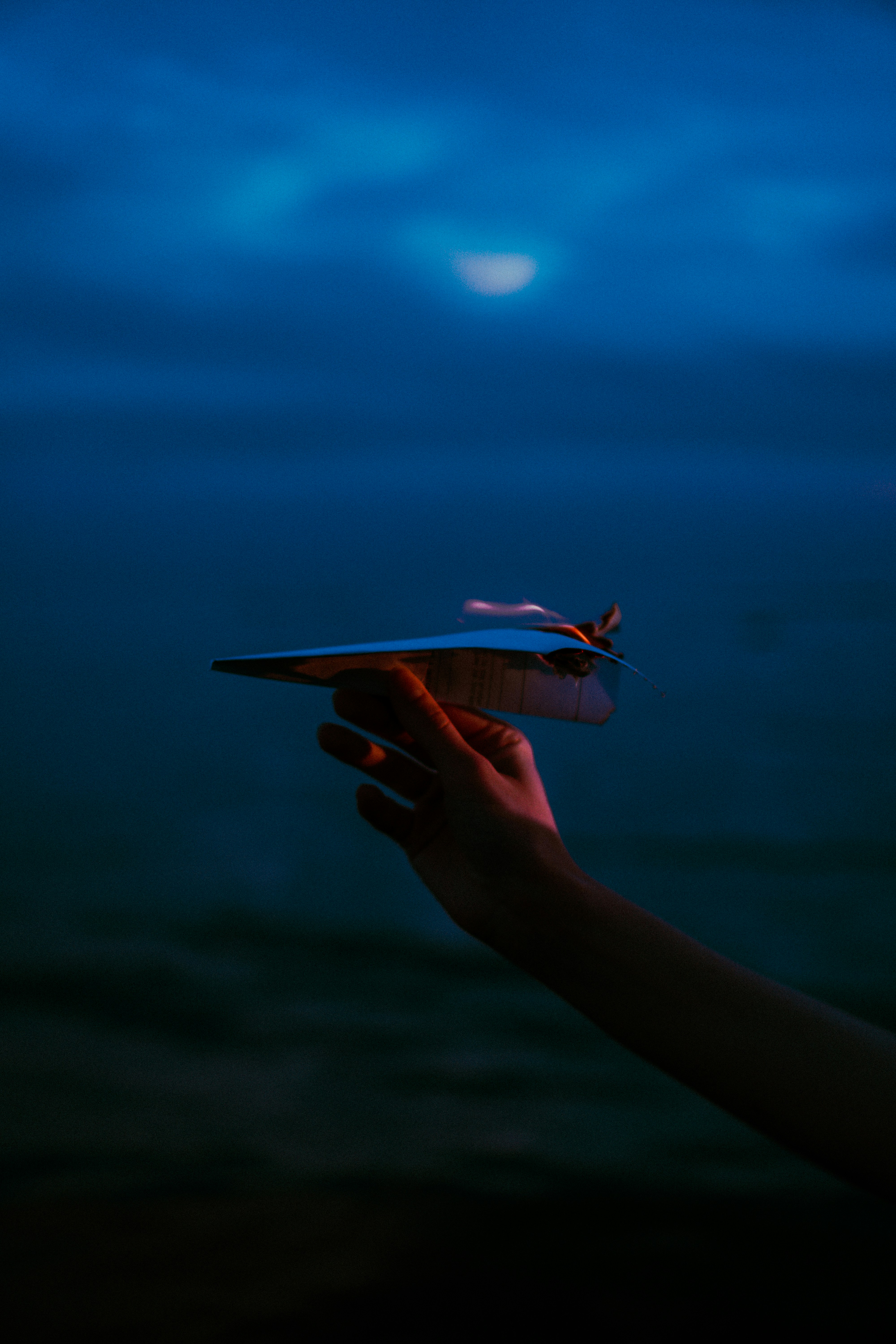 Dusk Harbor: A Handful of Flight Over Quiet Waters