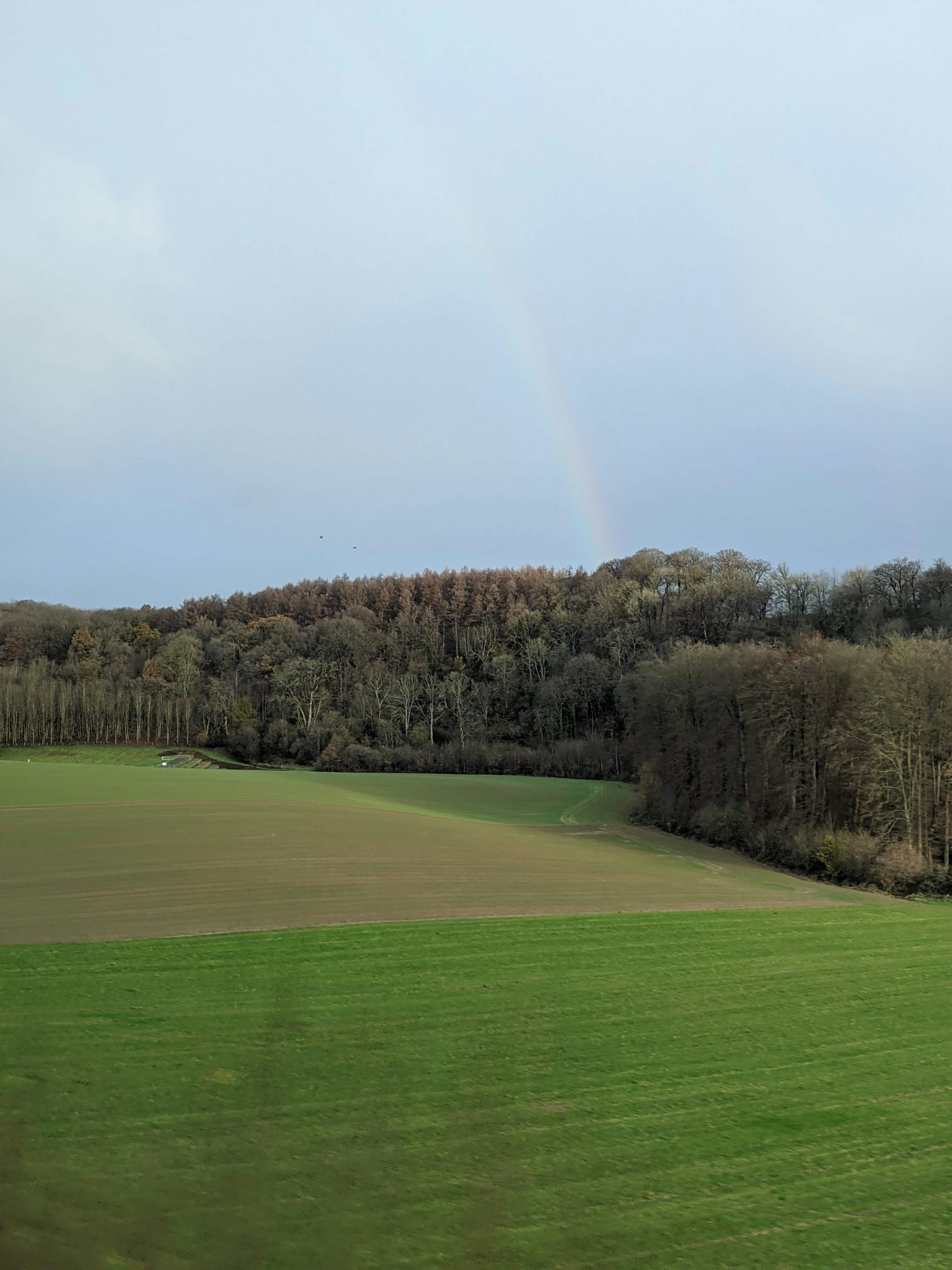 Whisper of a Rainbow Over Autumn Woods