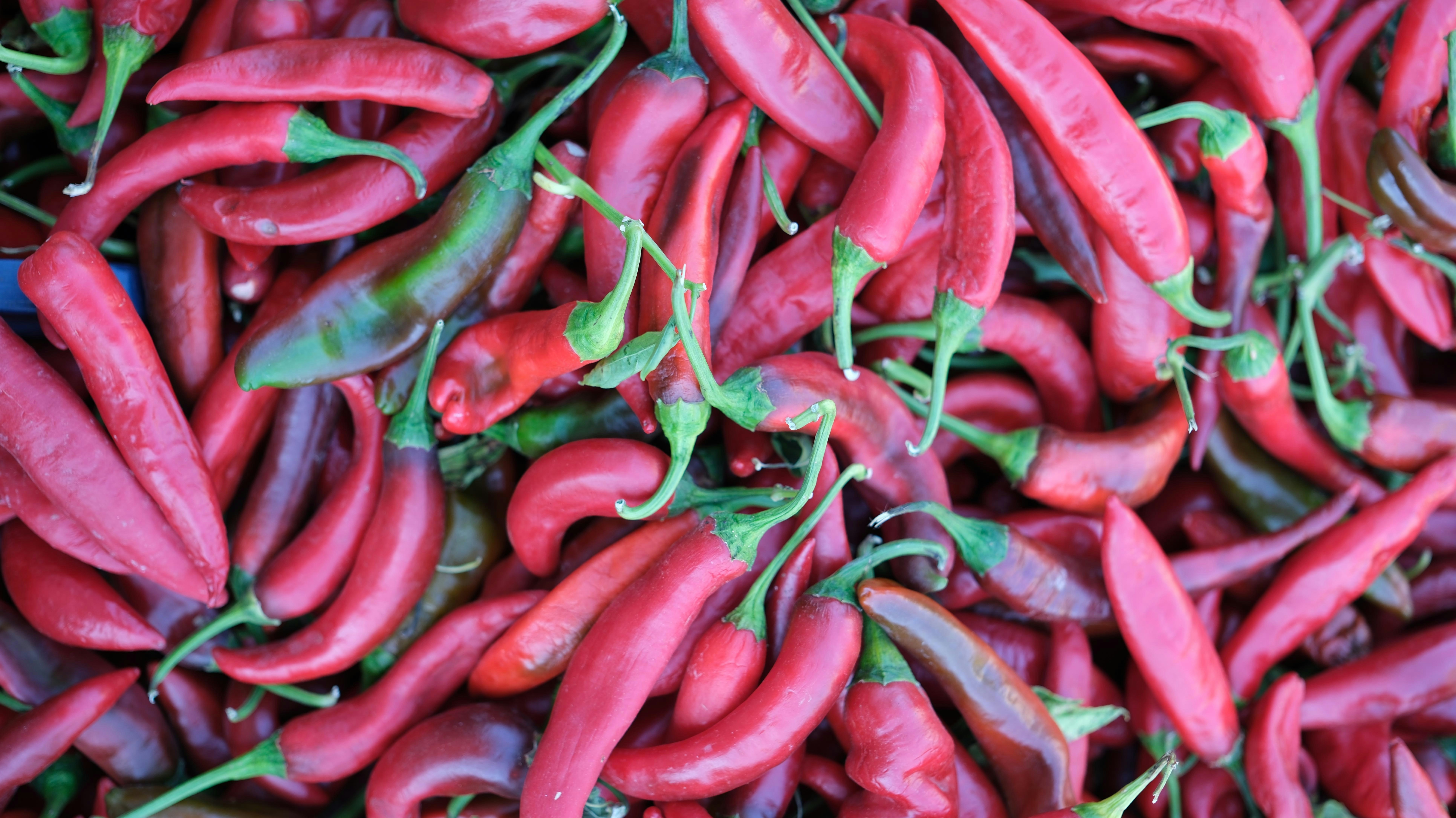 Crimson Pepper Quilt: A Close-Up Study of Fresh Red Chilies