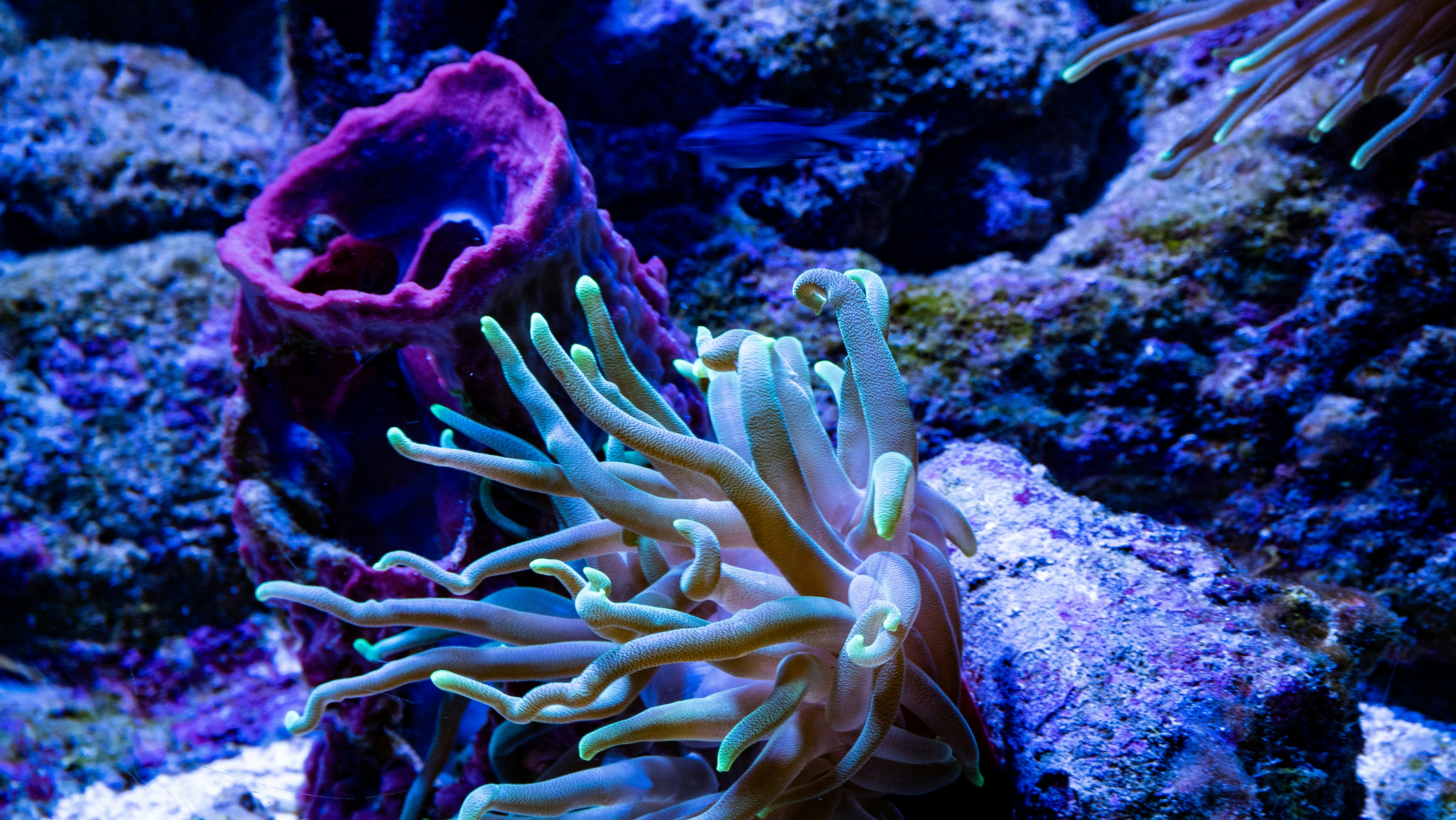 Photo by Christopher Politano with Panasonic Lumix G9