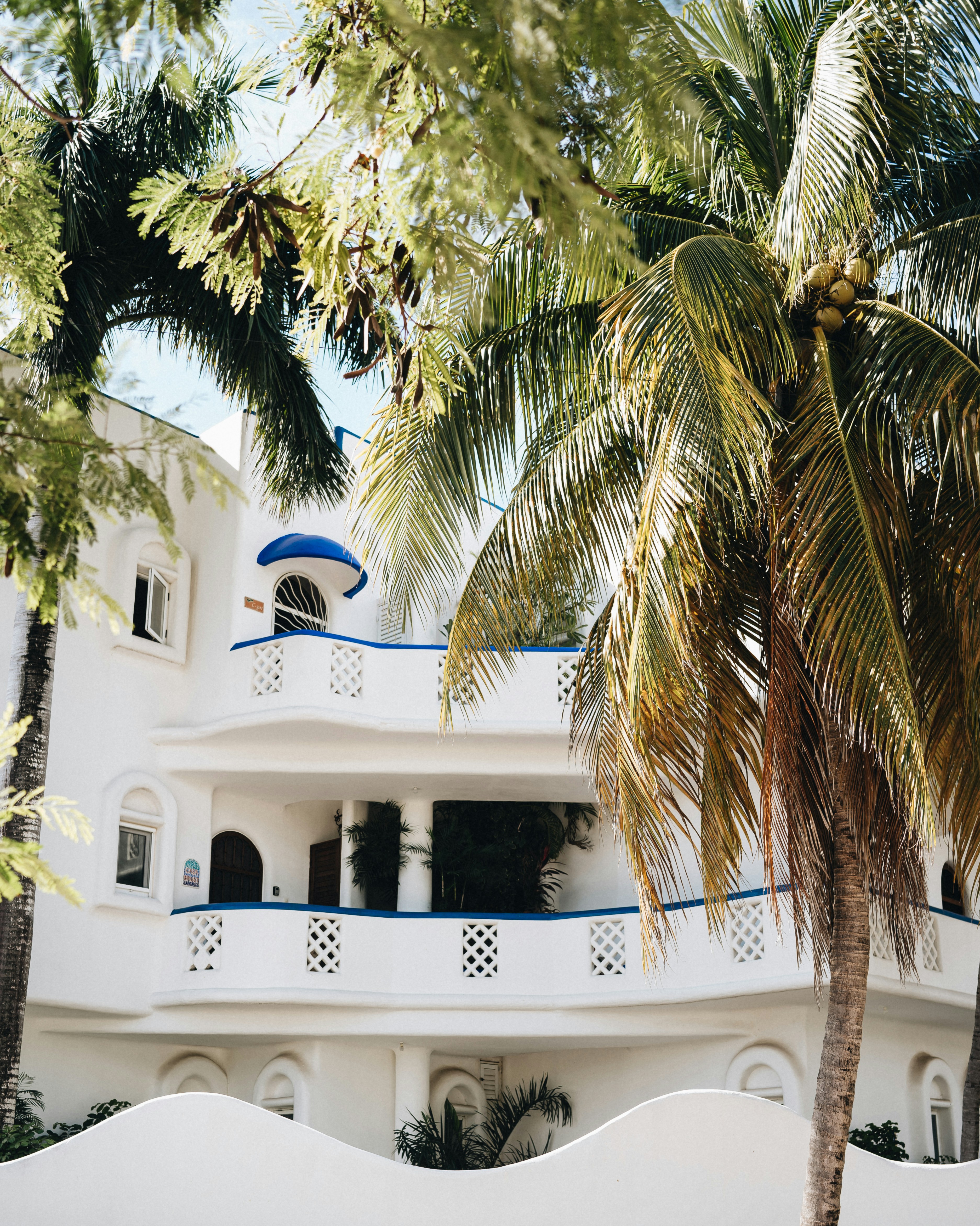 Un edificio blanco con una palmera frente a él foto – Imagen de Hotel ...