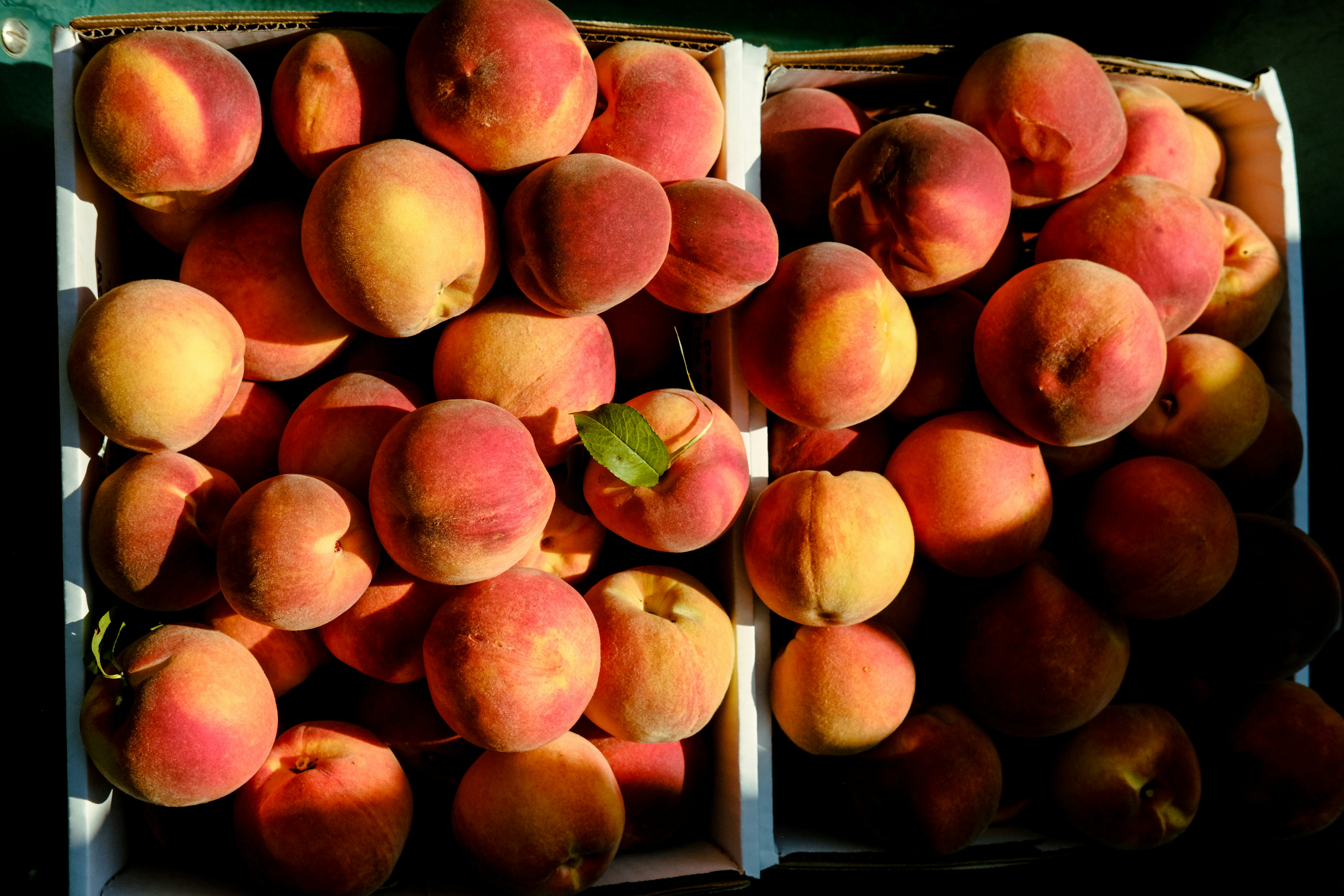 A bunch of peaches in a box on a table photo – Free Fruit Image on Unsplash