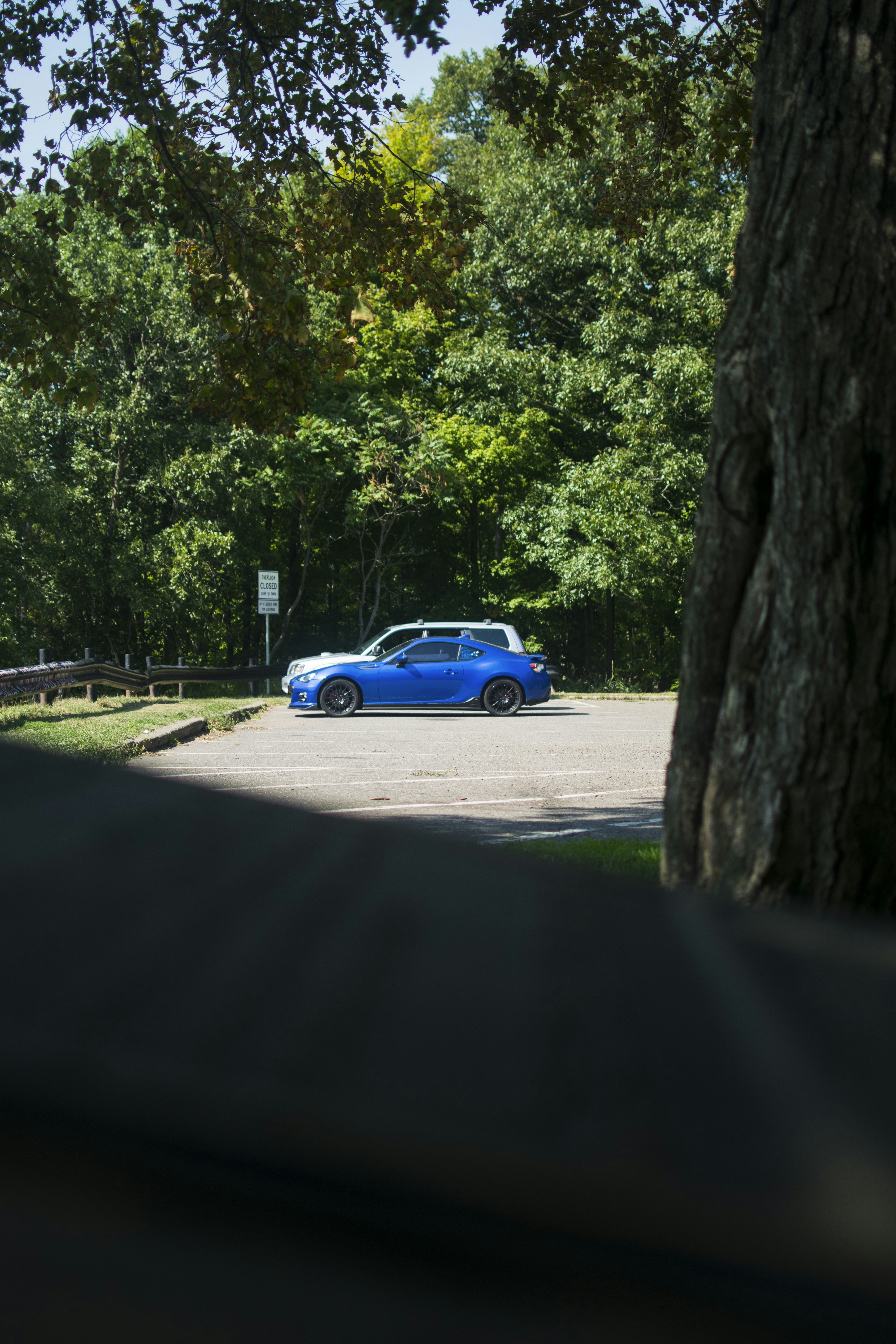 Azure Sedan at the Park's Edge: Sunlit Moment in a Green Canopy