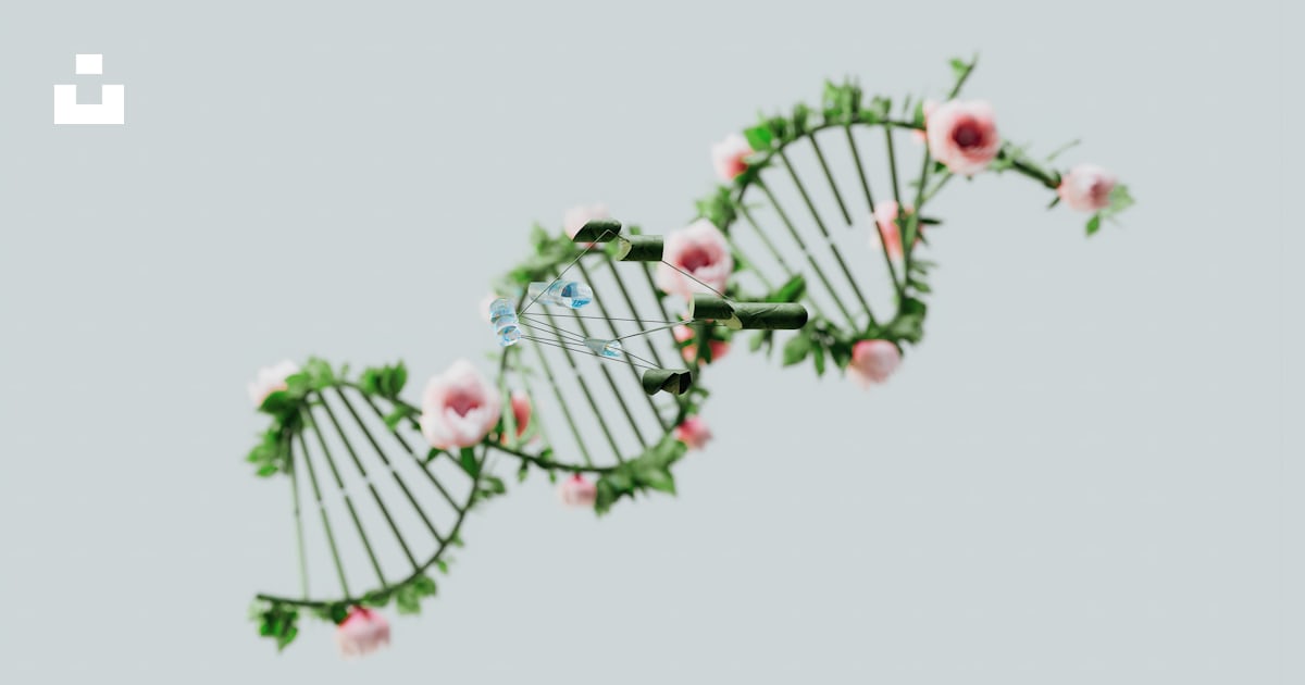 ピンクの花を持つ植物の接写の写真 Unsplashのデジタル画像の無料画像
