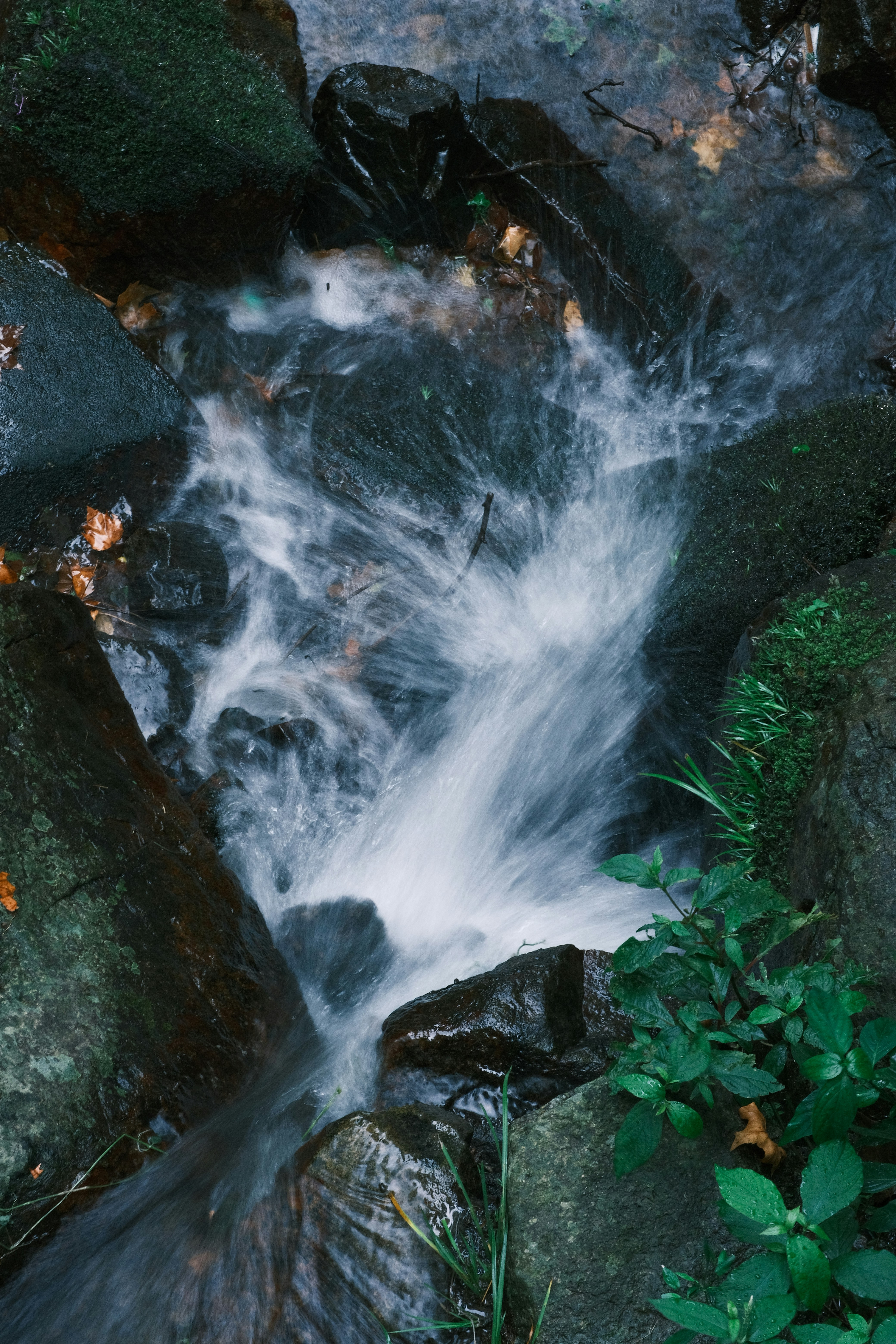 A close up of a stream of water surrounded by rocks photo – Free Nature ...