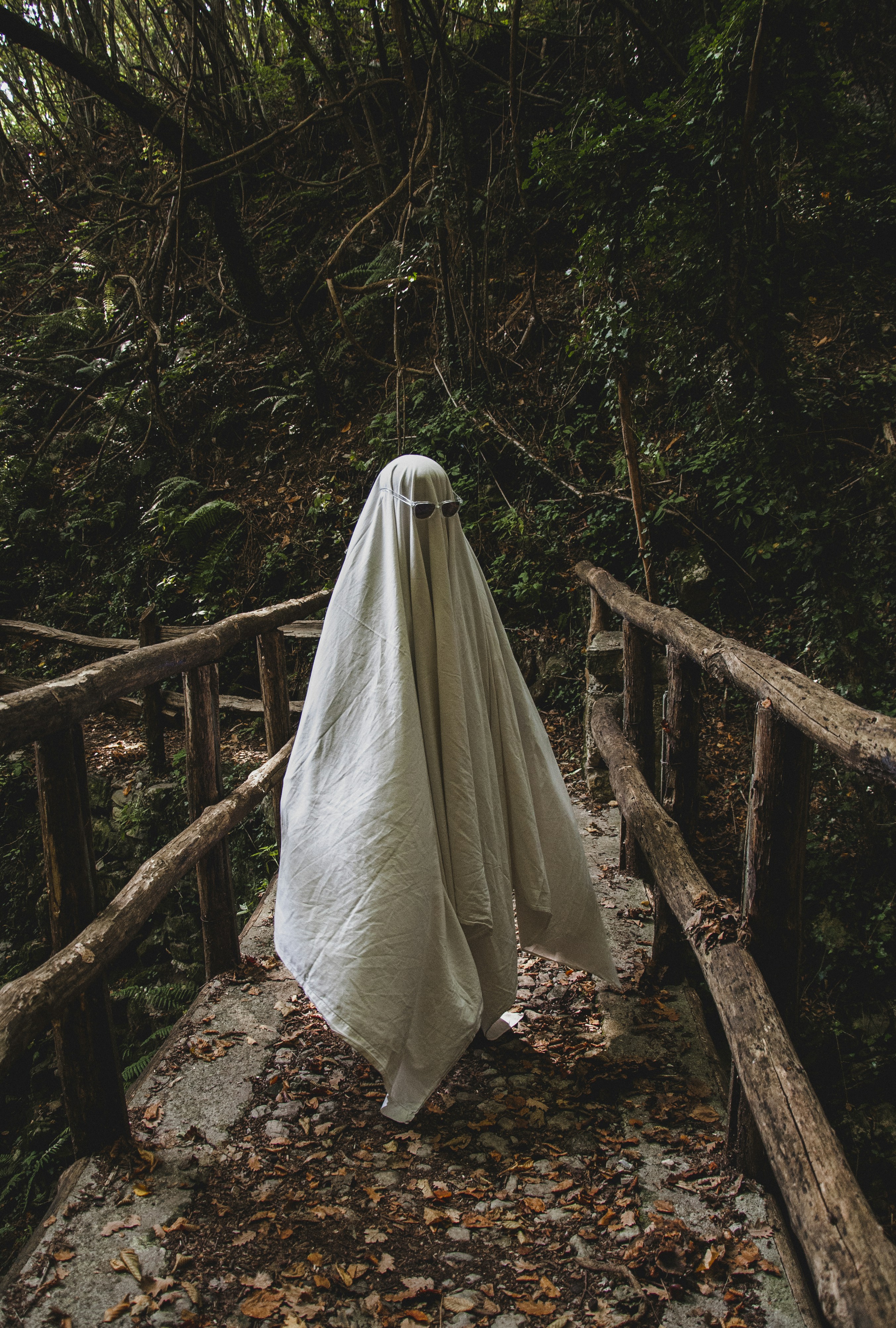 A ghost is walking across a bridge in the woods photo – Free Halloween ...