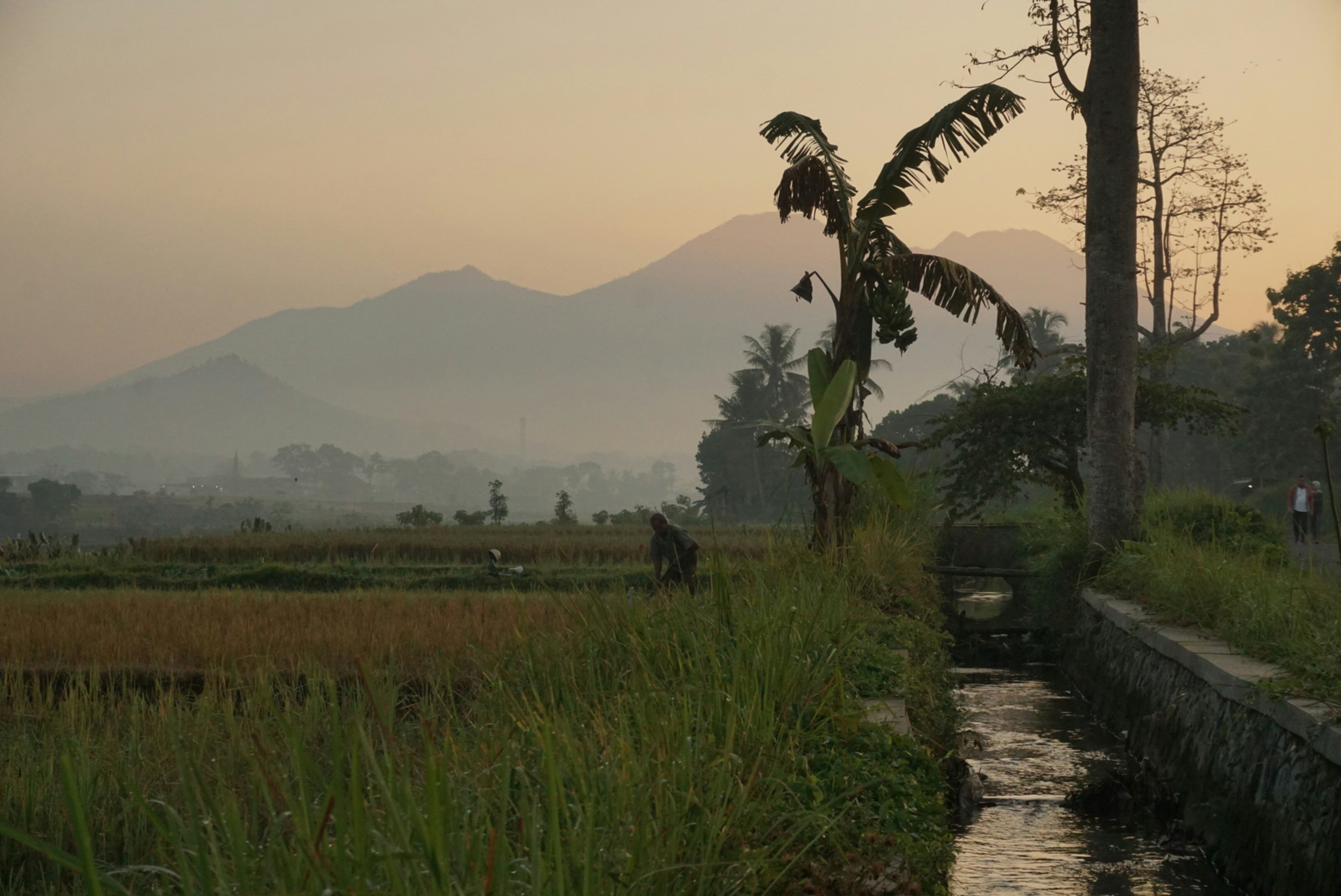 syukron maulid (@hitandrun21) | Unsplash Photo Community