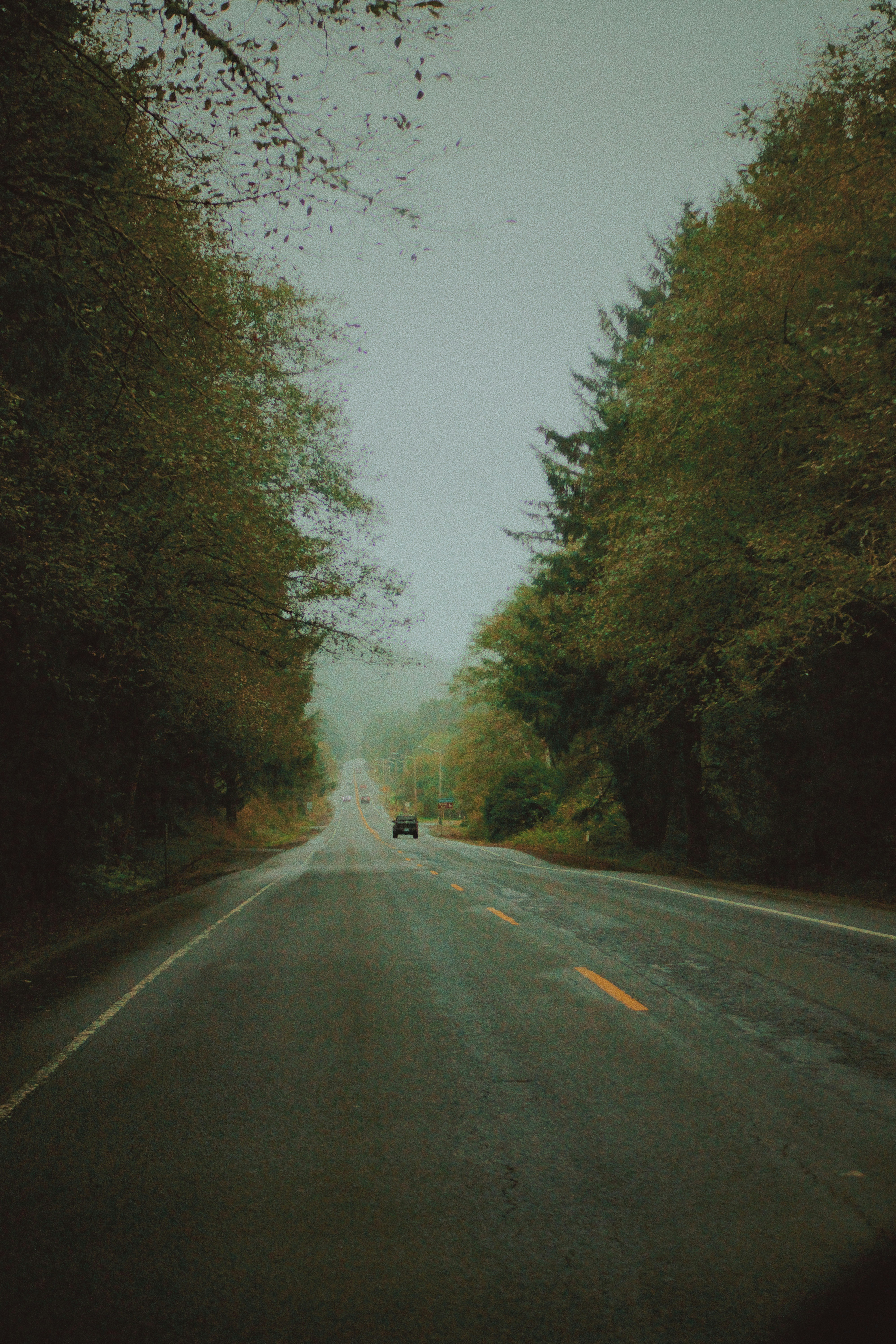 a car driving down a road surrounded by trees