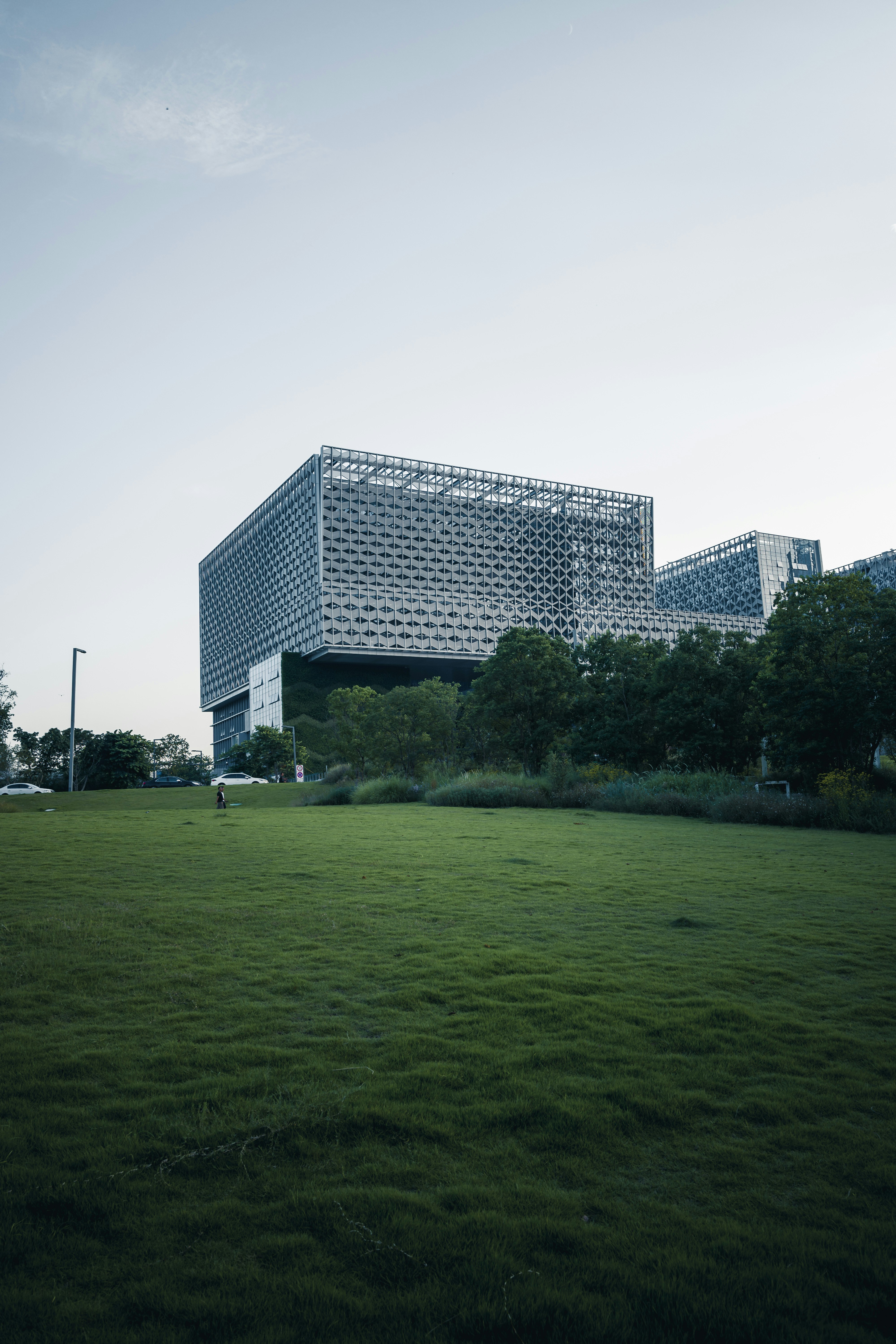 Geometric Skyline: Modern Facade Rising Over Green Expanse