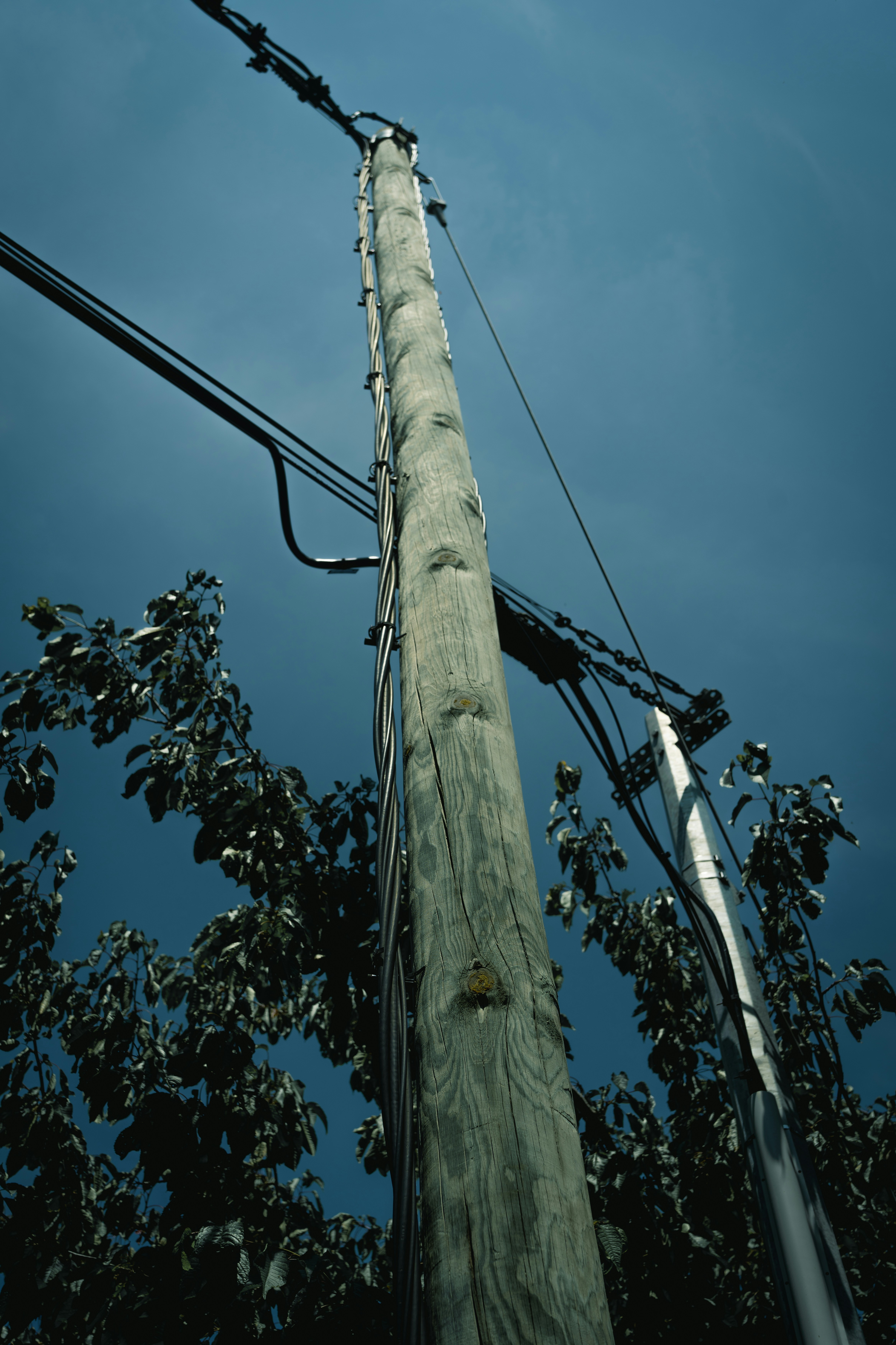 A telephone pole with a power line attached to it photo – Free Utility ...