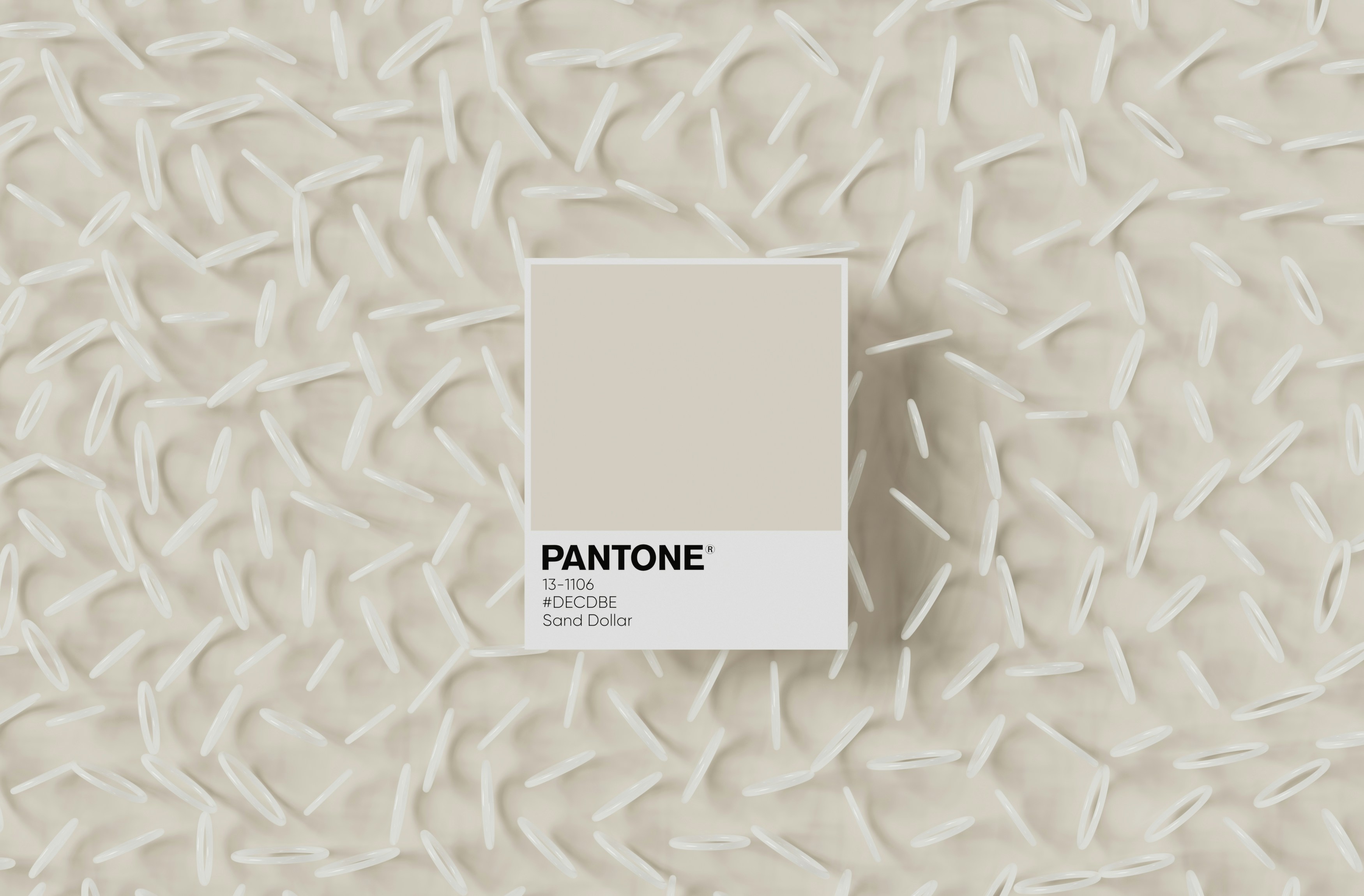 Pantone Swatch White