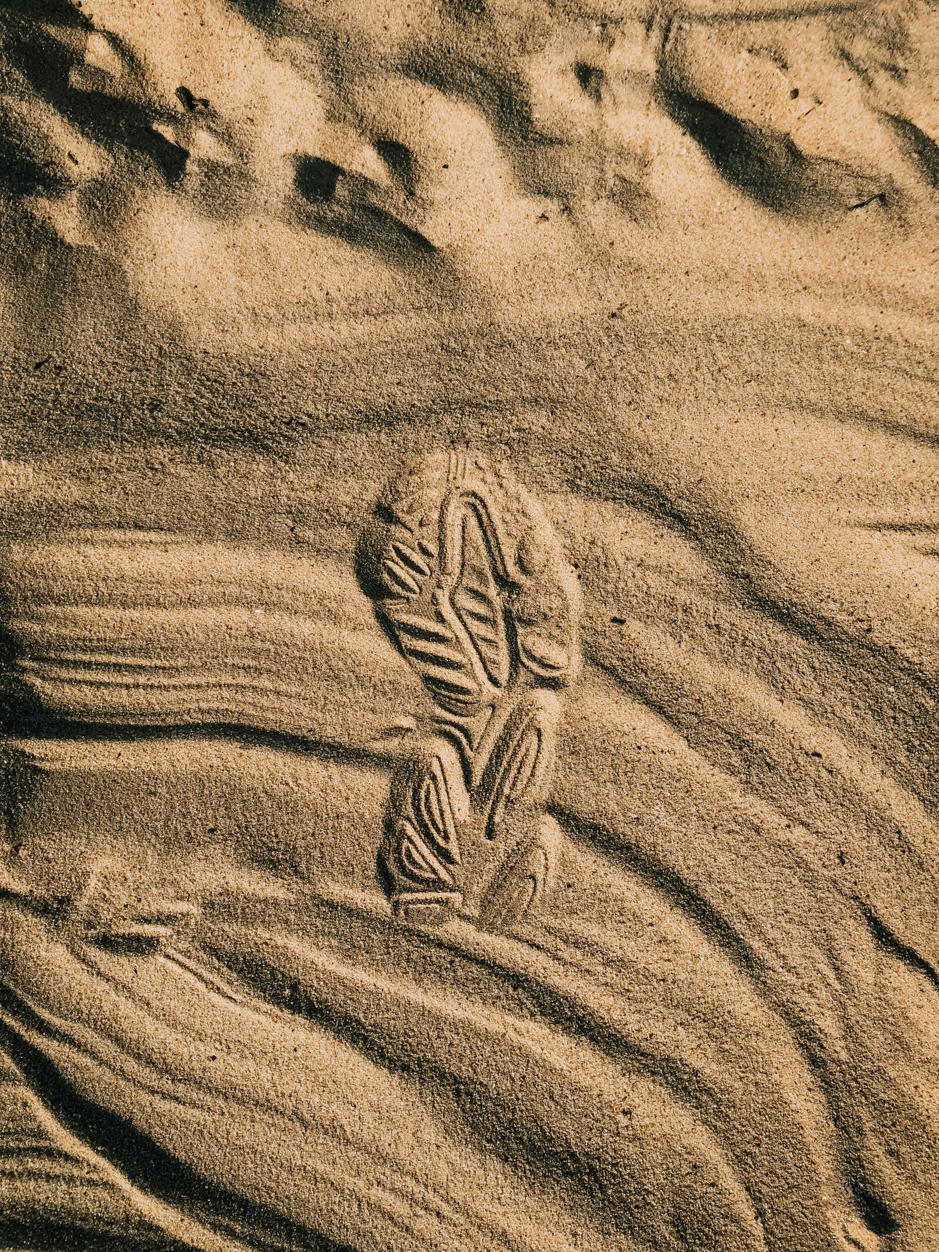 Footprint Imprint on Rippling Desert Sand