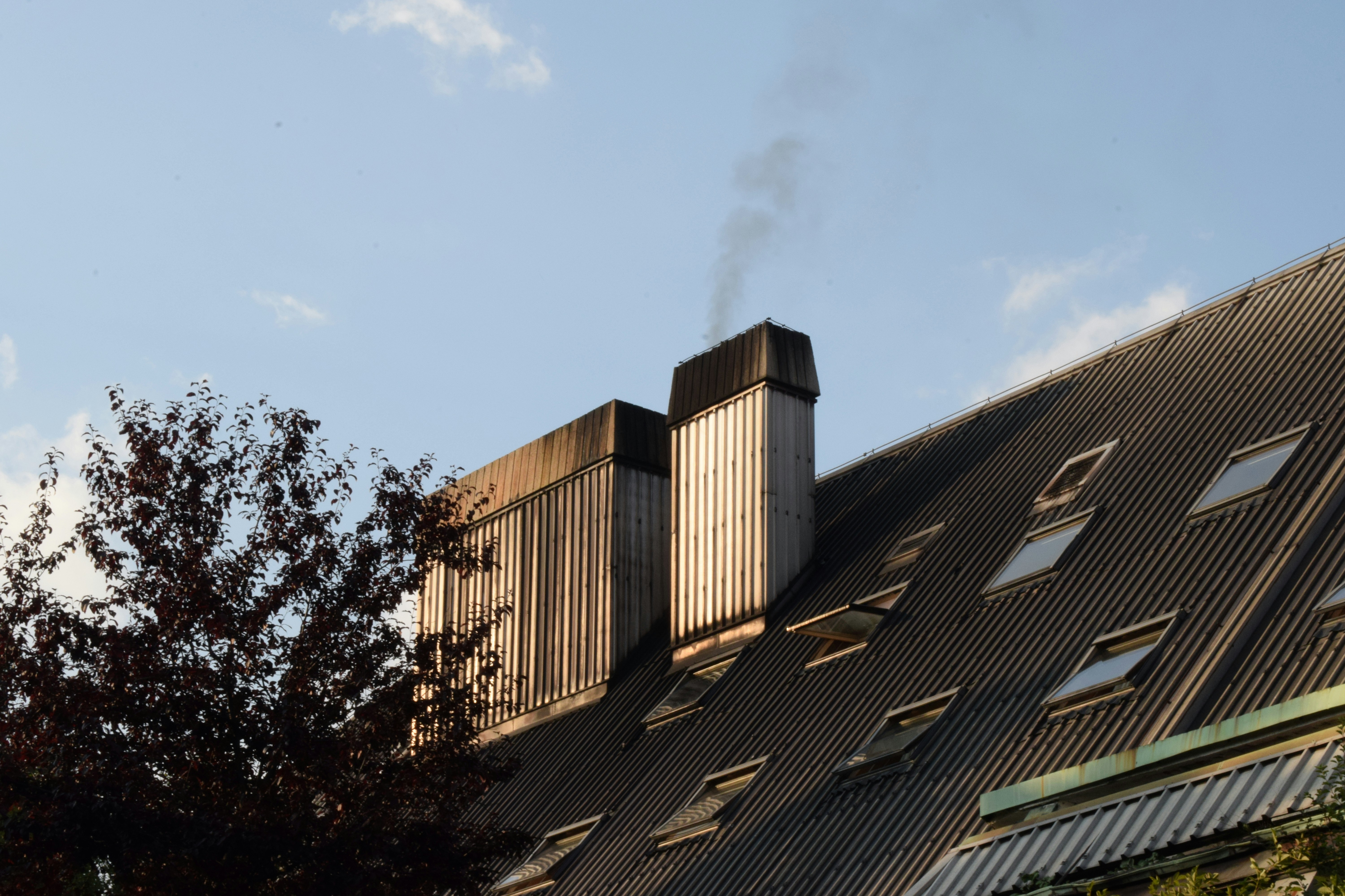 Sunlit Chimneys and Rooftop Lines
