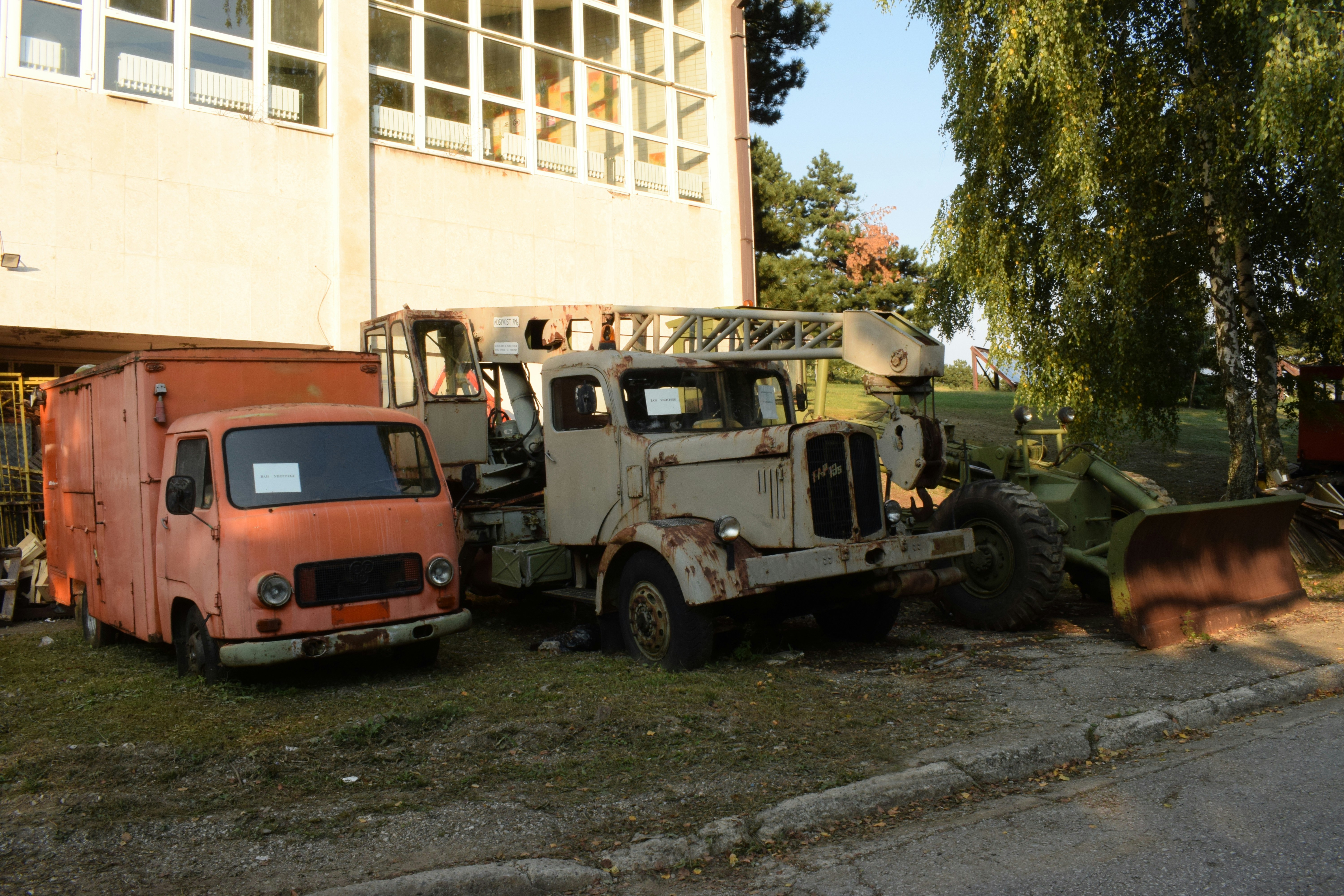 Timeworn Giants in Dappled Morning Light