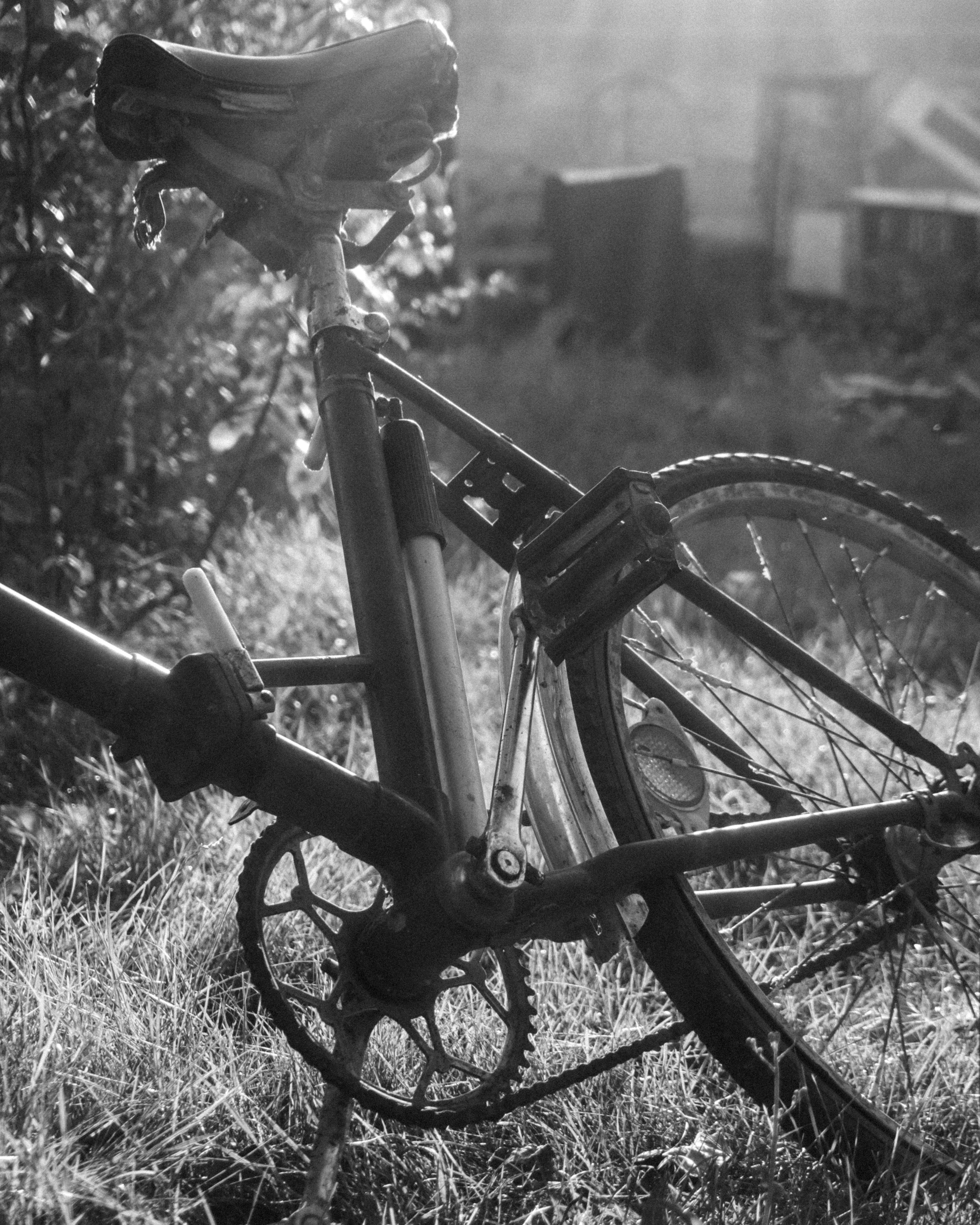 Photo by Kirill Teslia with Sony Alpha 6000